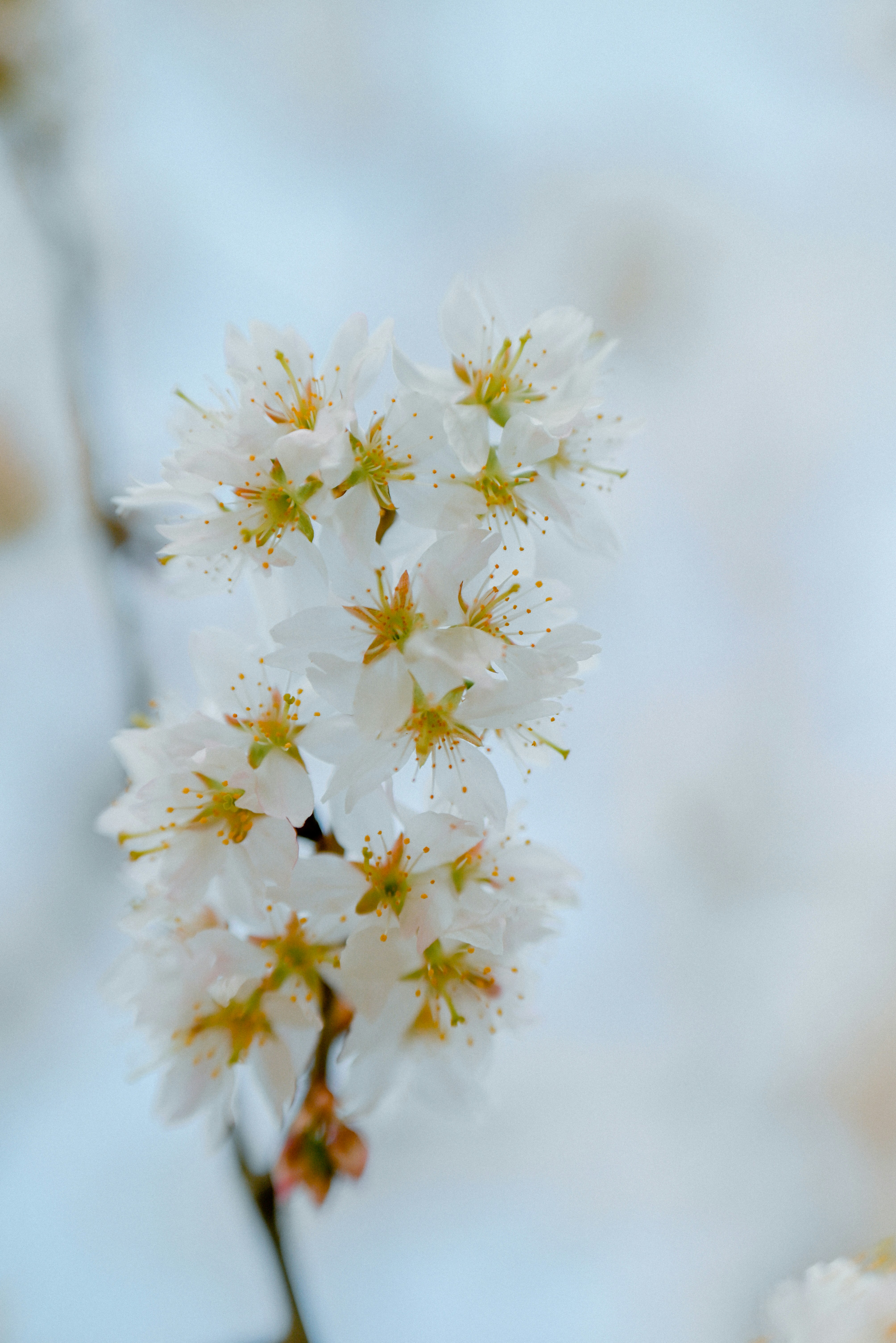 Photo by Ethan Zhang with Nikon Z5