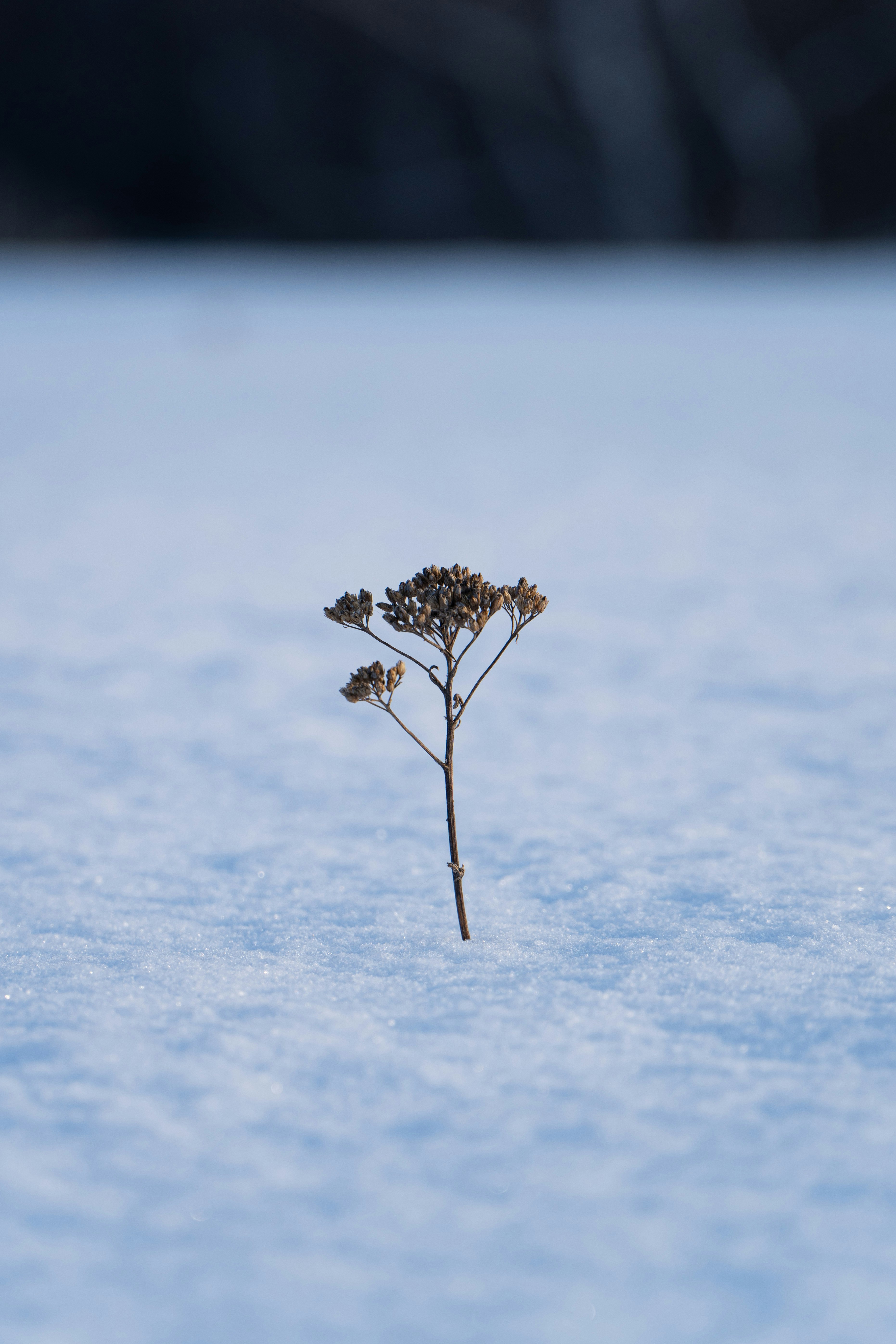 Photo by Leon Panchenko with Sony Alpha 6400