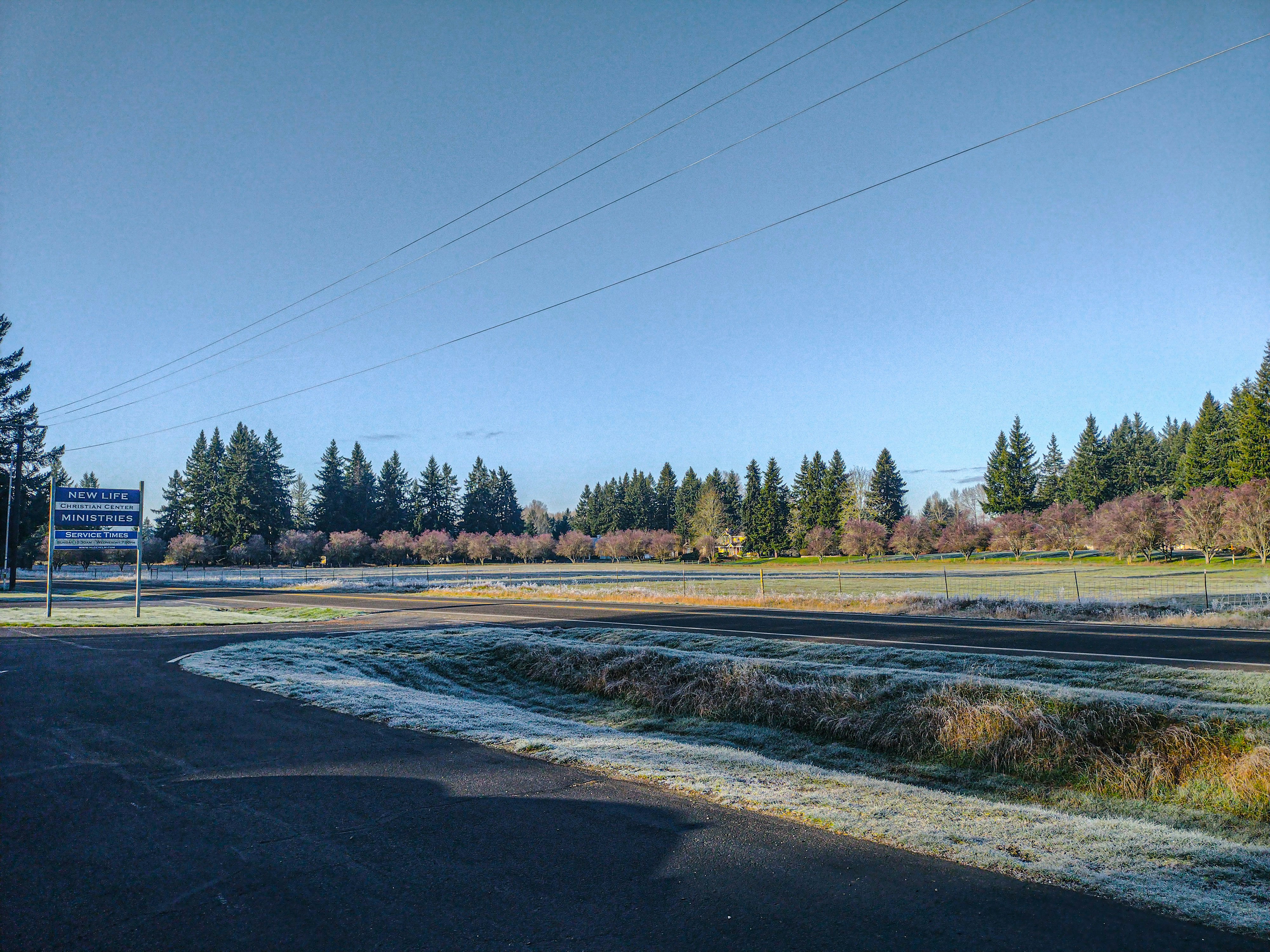 A quiet rural road shoulder with frost along the verge, a signpost on the left, and a line of evergreen trees under a clear blue sky. The composition emphasizes calm, everyday travel scenery.