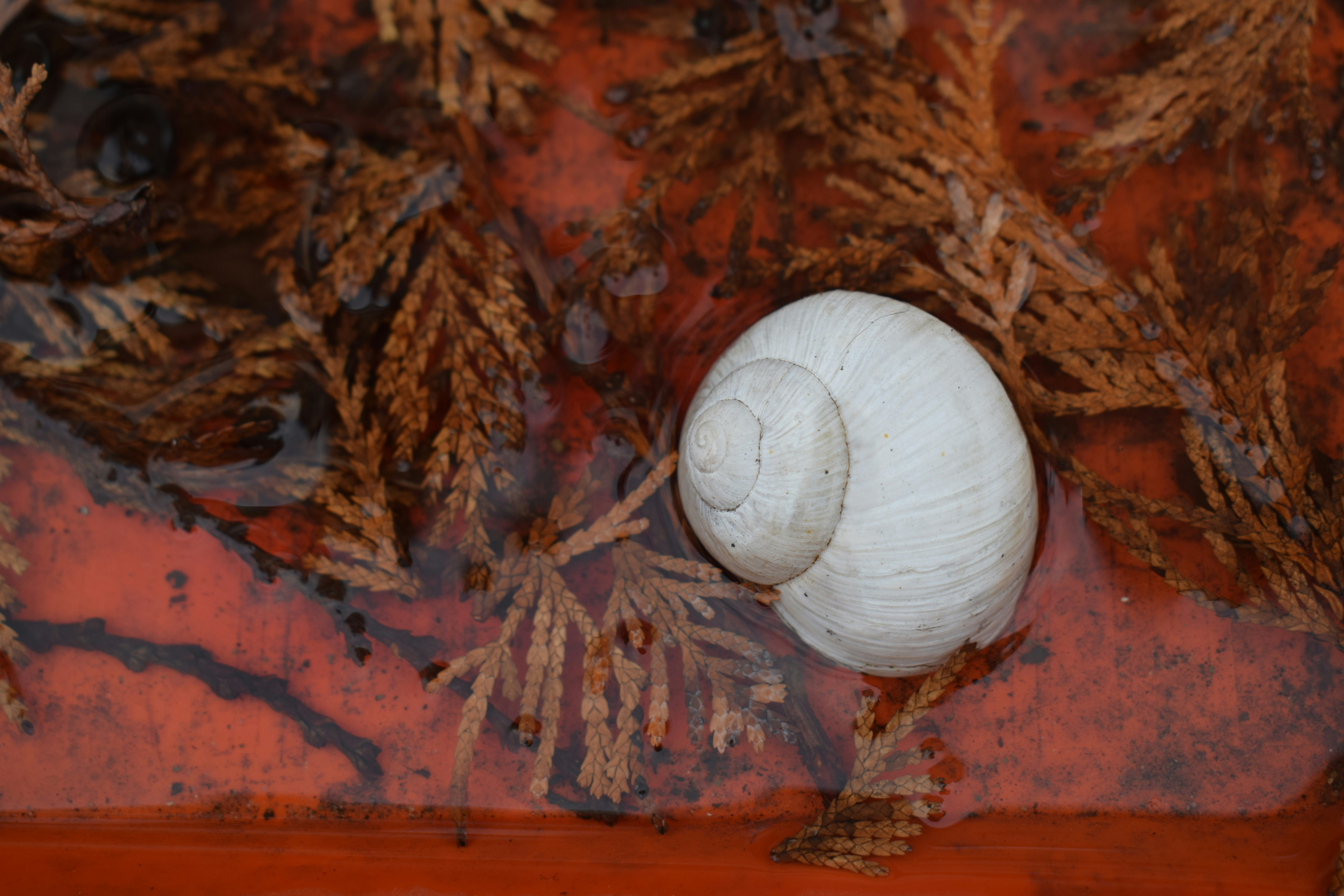 Photo by Marija Zaric with Nikon D5300