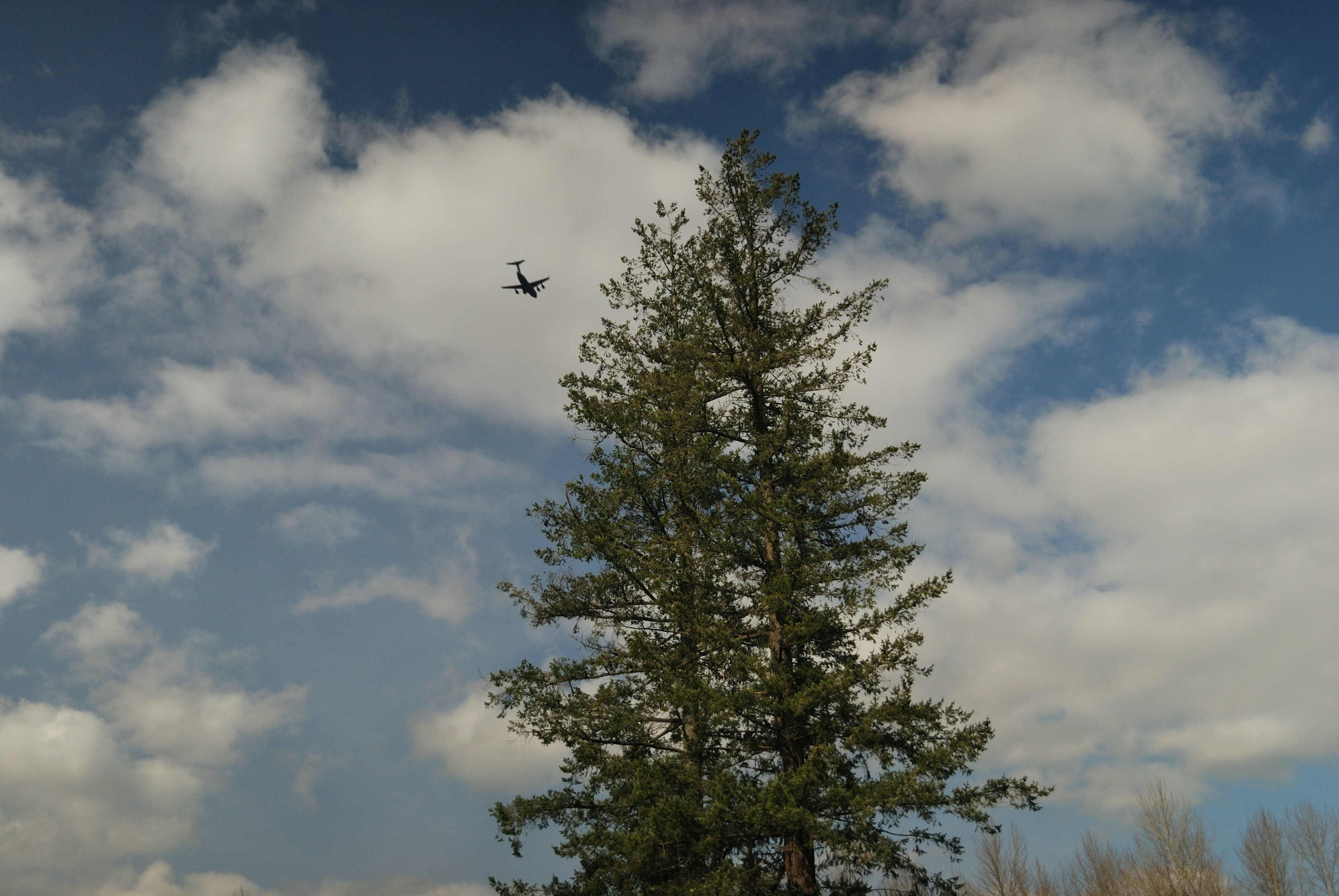 Flight over the Evergreen Tower