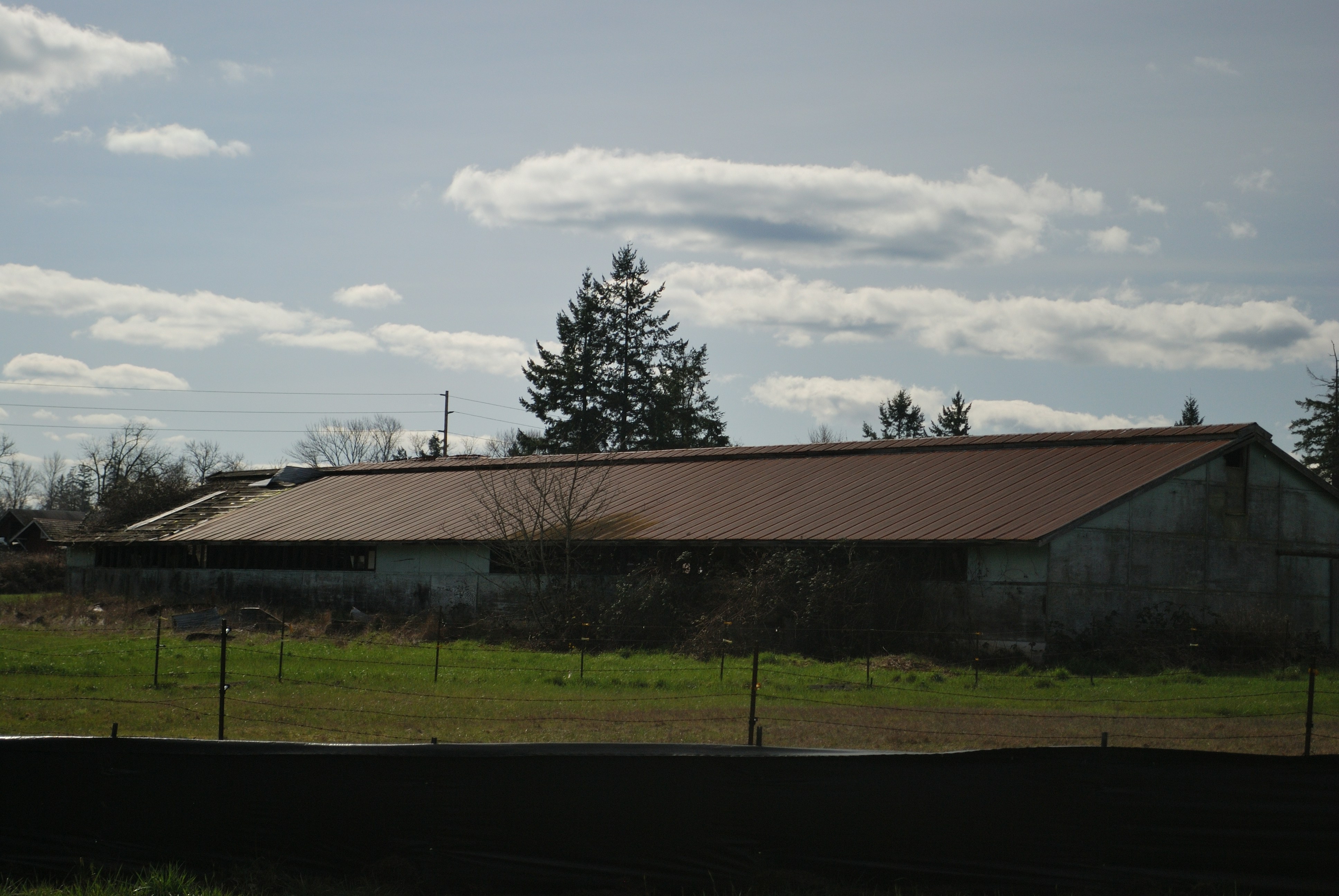 Photo by Evan Aker with Nikon D60