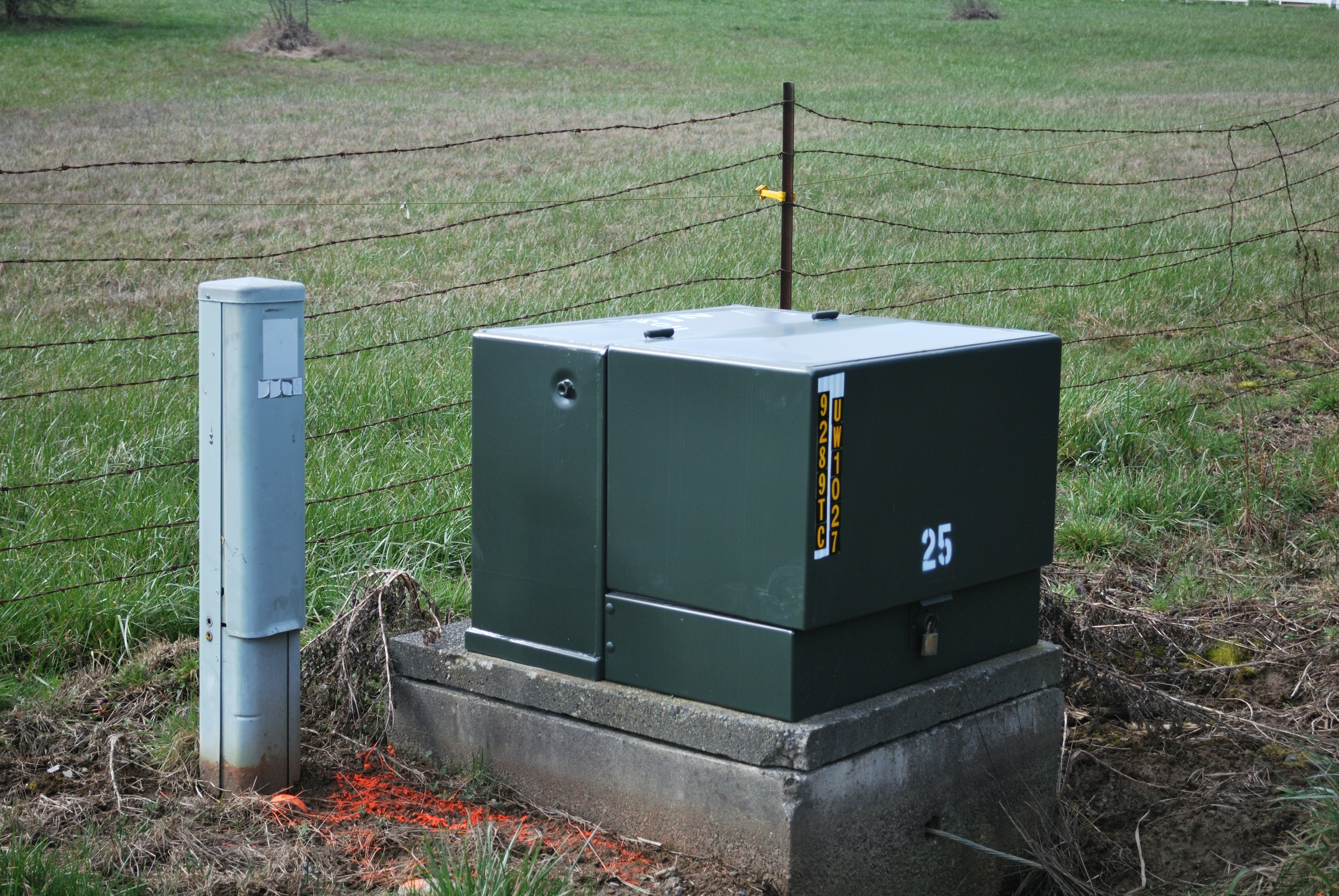 Green Monolith in the Field: A Transformer Anchoring the Landscape