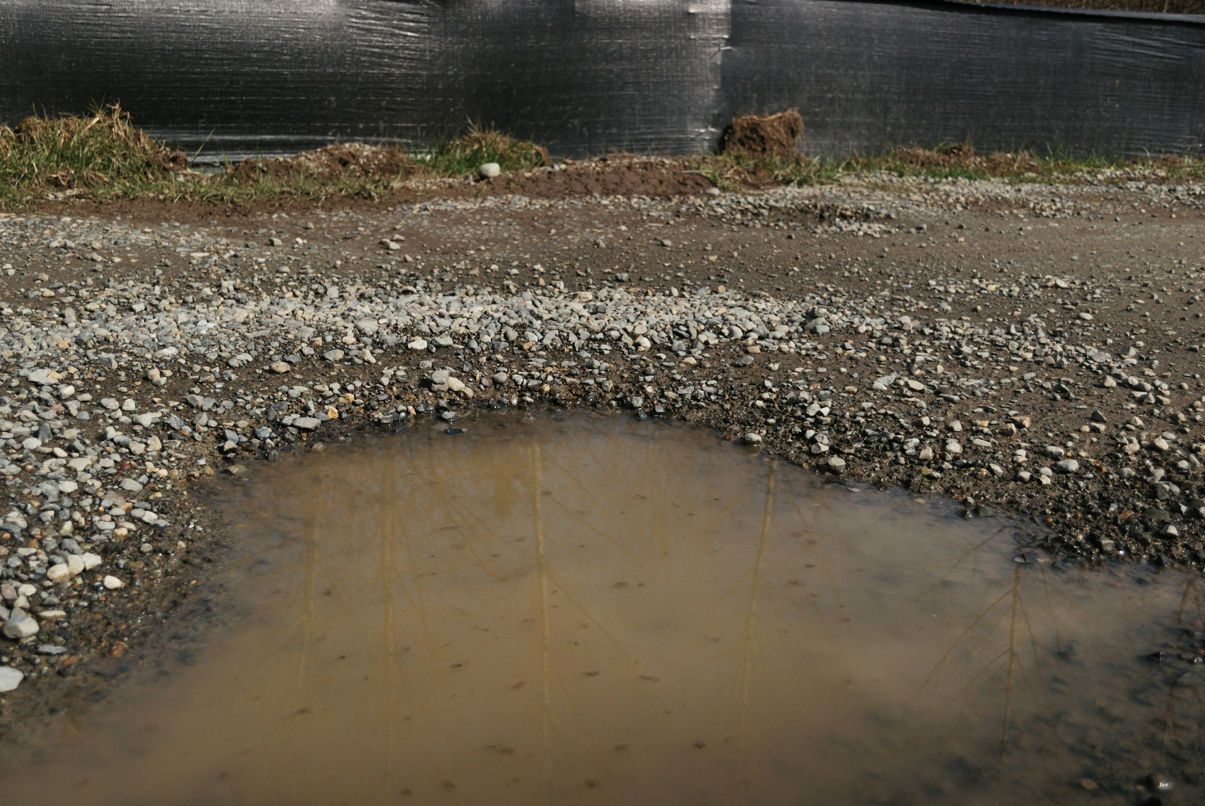 Photo by Evan Aker with Nikon D60