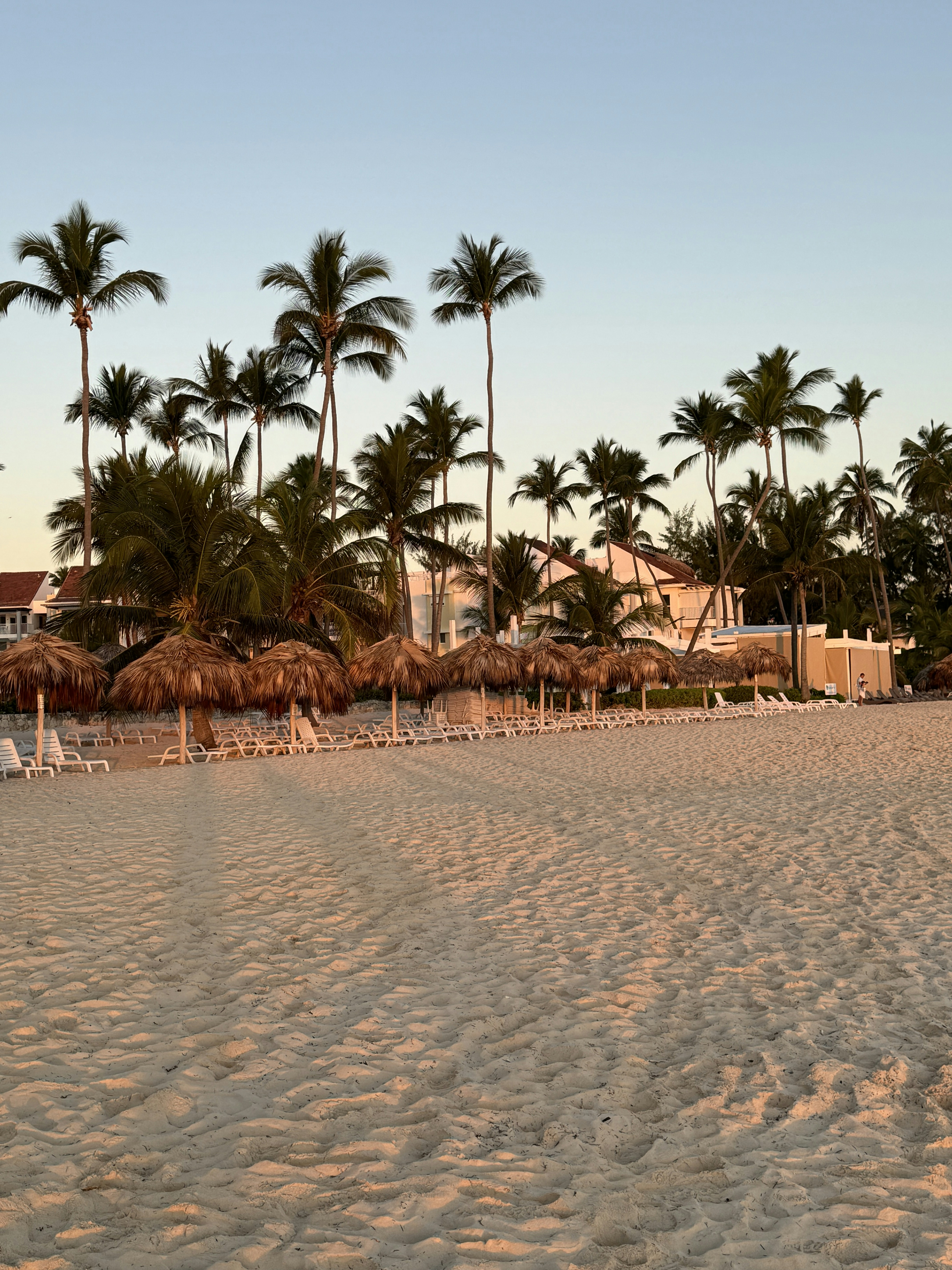 David Bennett (@dharmatalks) | Komunitas Foto Unsplash