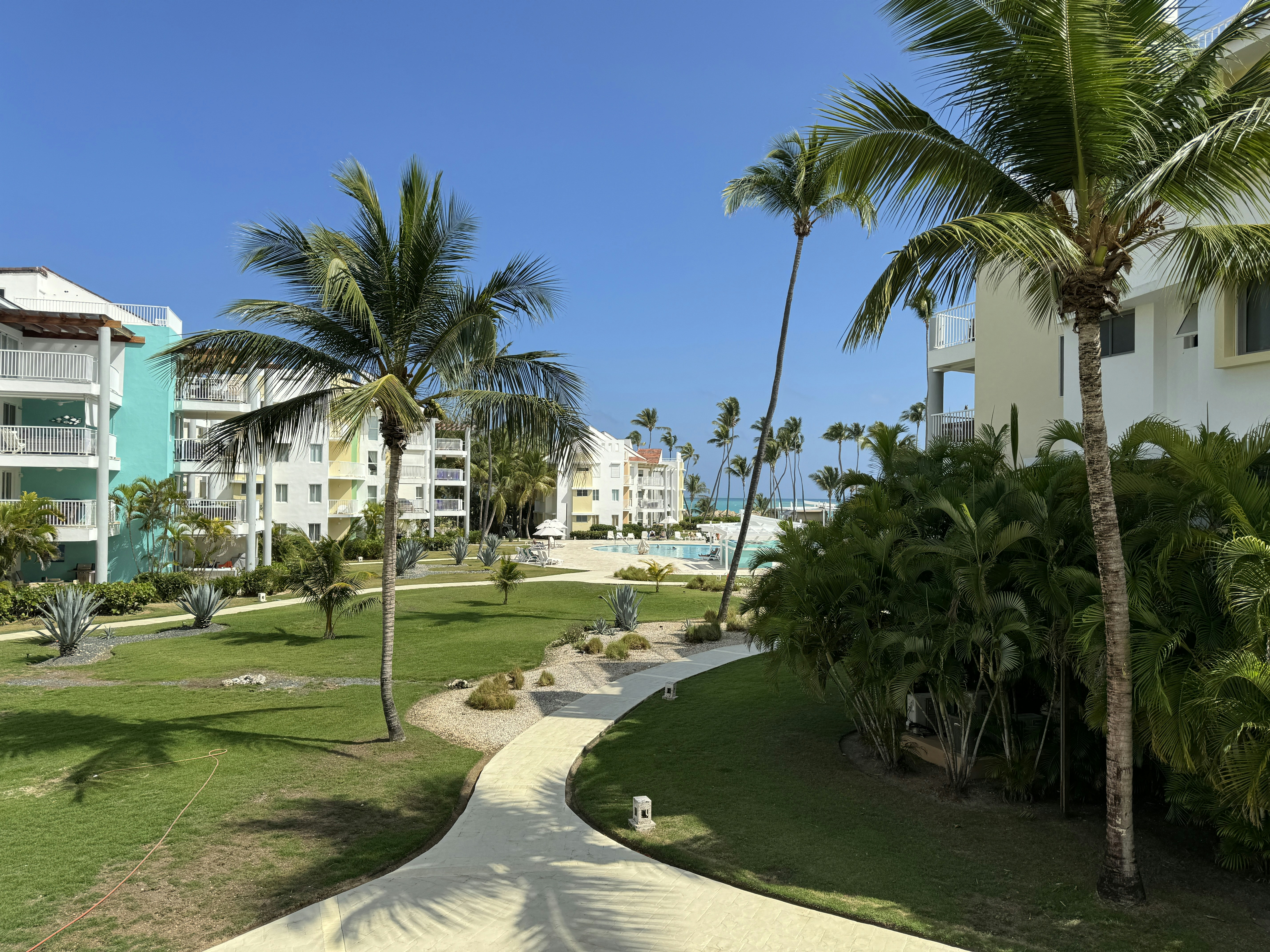 David Bennett (@dharmatalks) | Komunitas Foto Unsplash