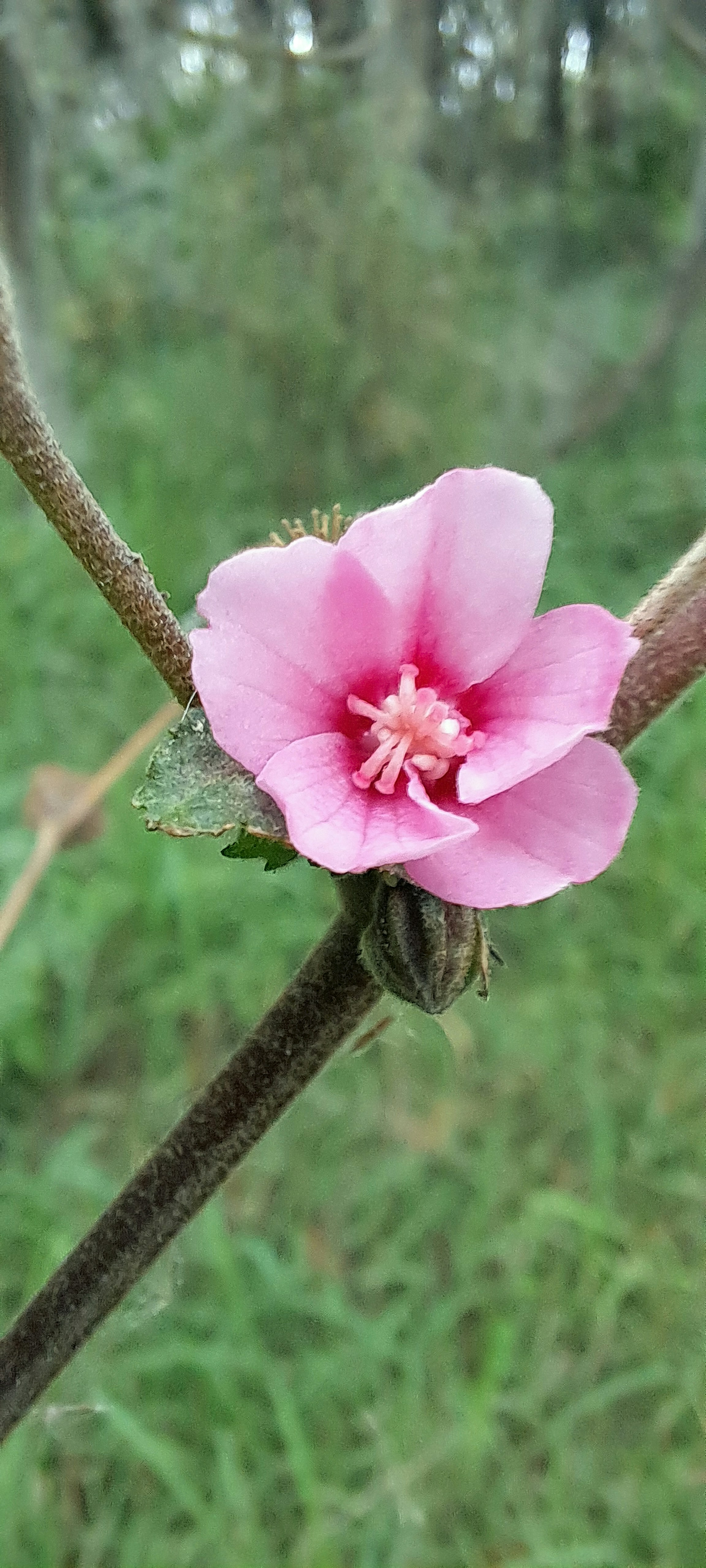 Gualberto Valderrama (@livinginusa_channel) | Comunidade de fotos da ...