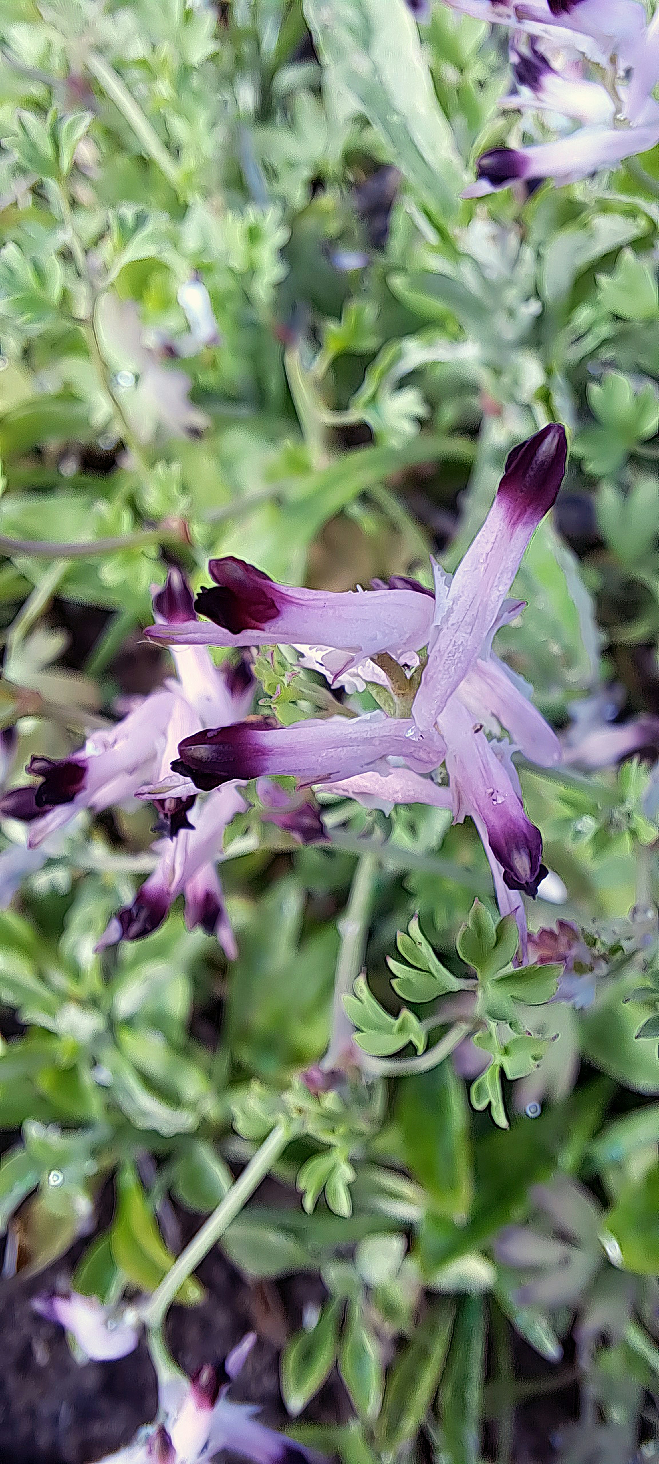 Gualberto Valderrama (@livinginusa_channel) | Unsplash Photo Community
