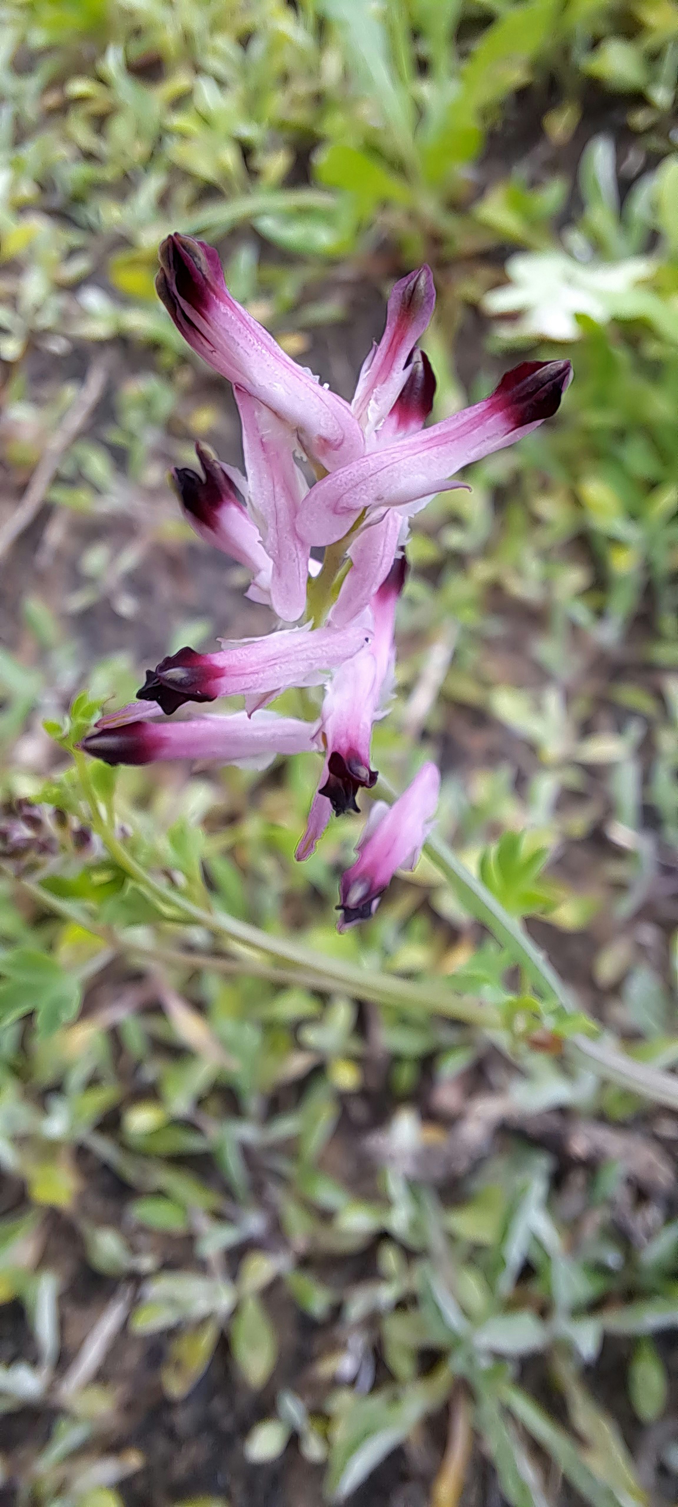 Gualberto Valderrama (@livinginusa_channel) | Unsplash 사진 커뮤니티
