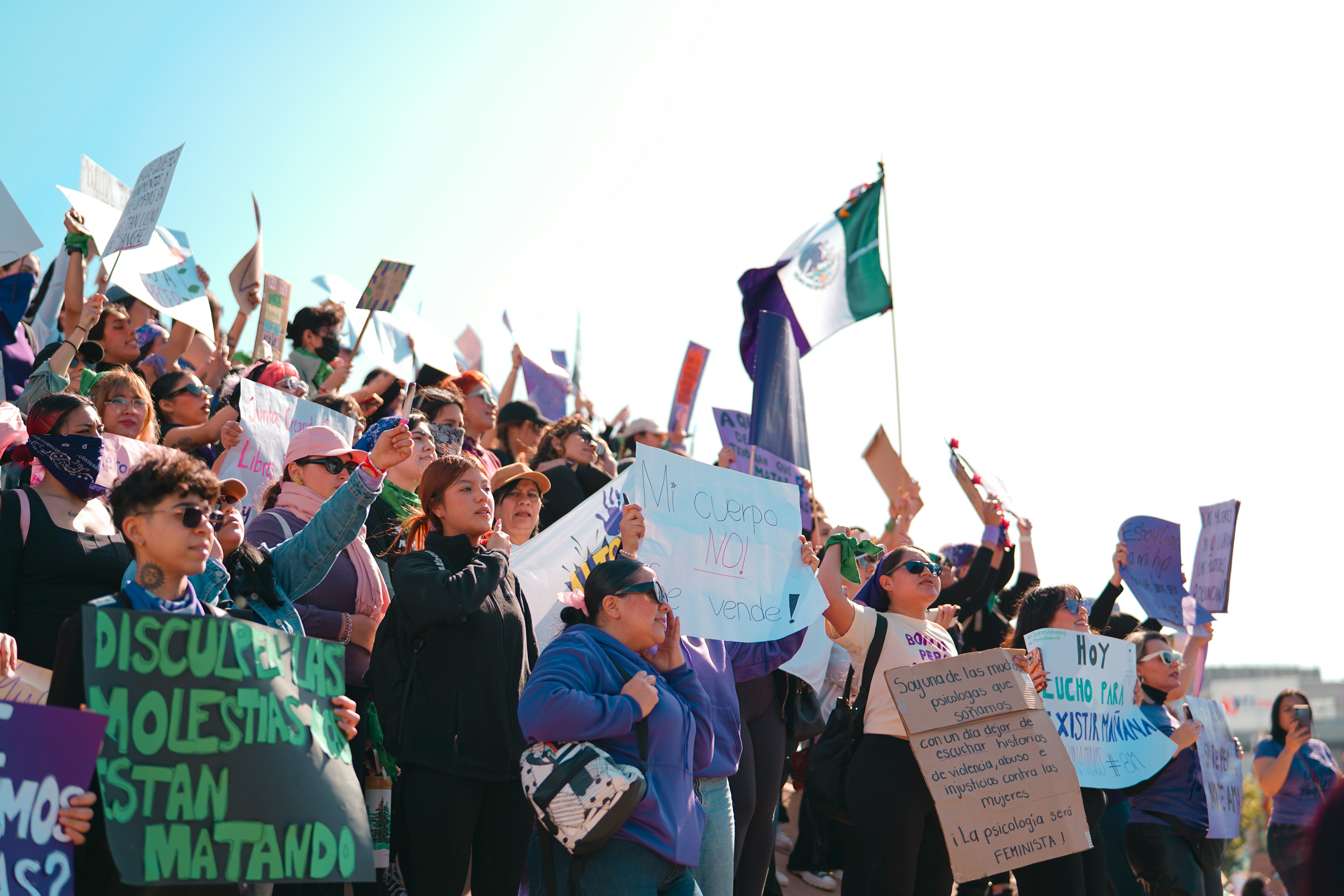 A large group of people holding signs and flags photo – Free Person ...