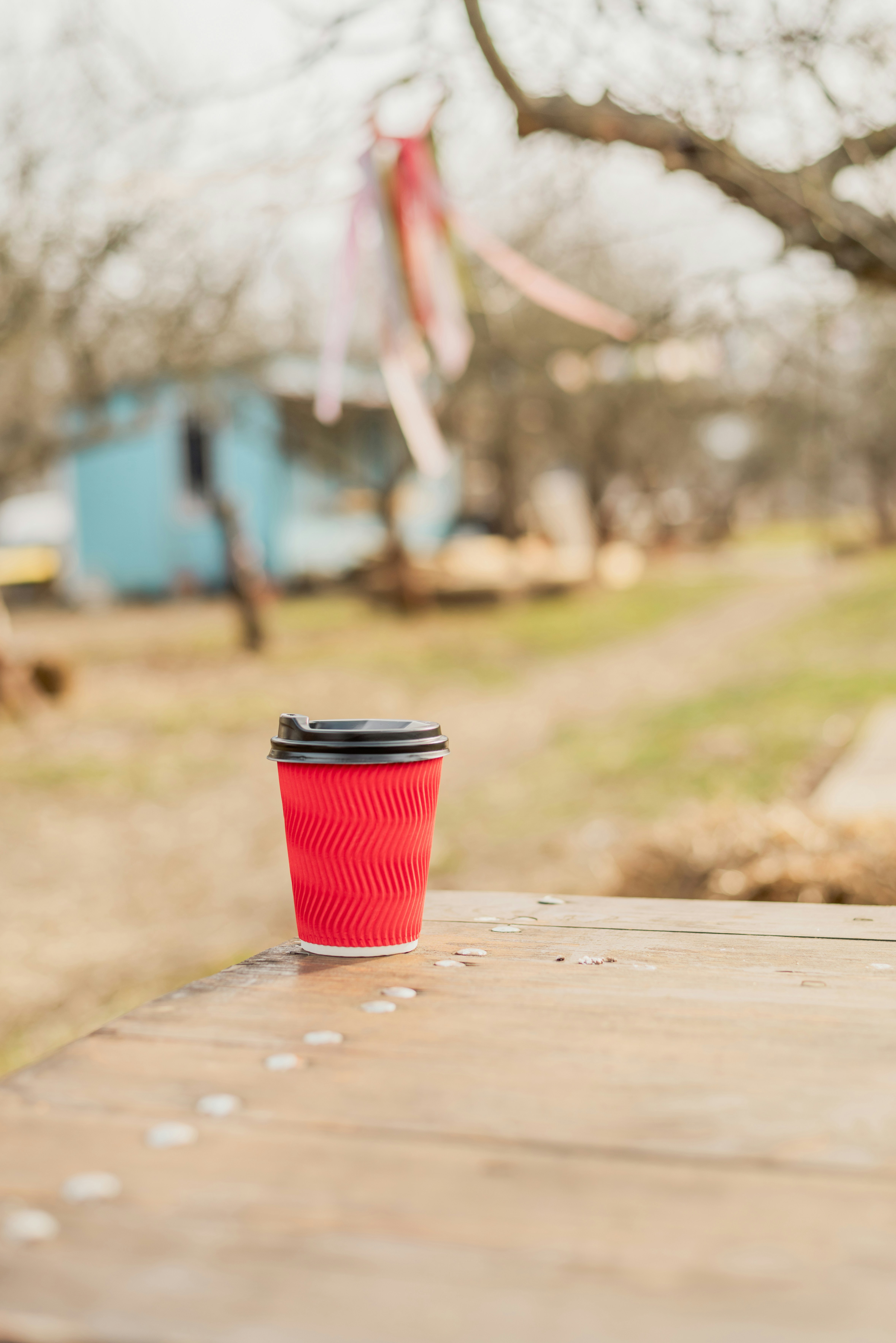 Red Cup on Weathered Table: Quiet Moment in a Playful Park