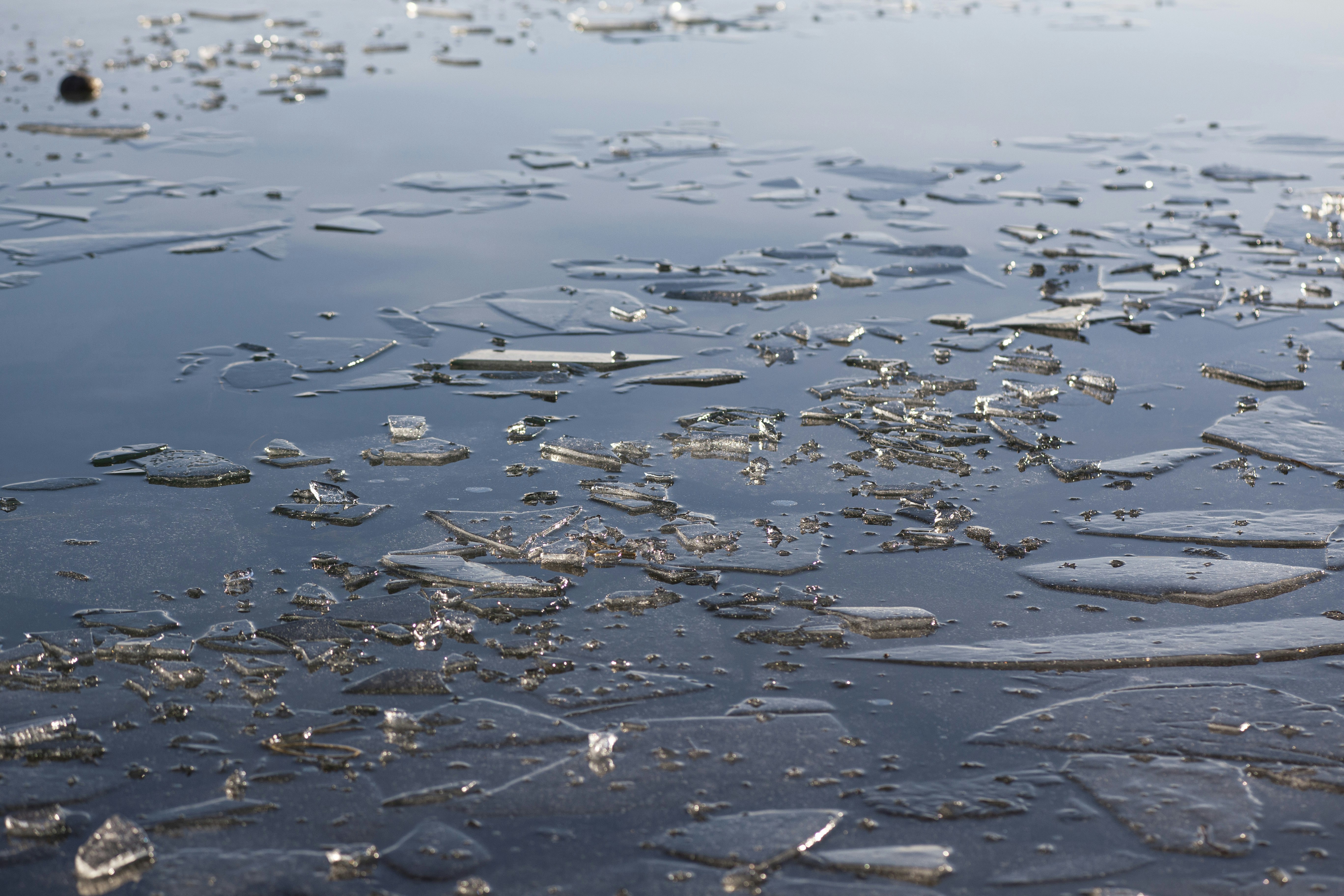A bunch of ice flakes floating on top of a body of water photo – Free ...