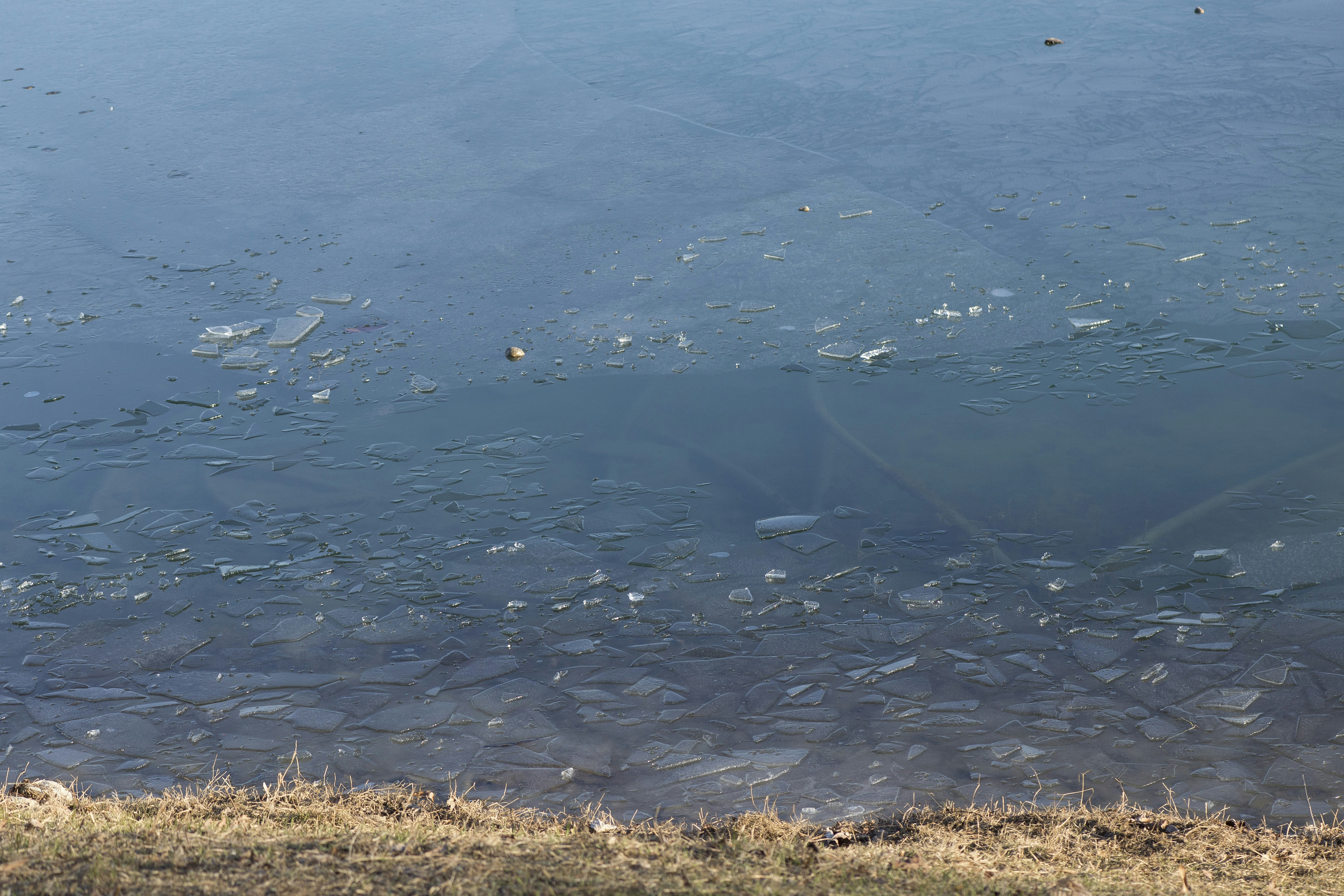 A body of water filled with lots of small fish photo – Free Riva del ...