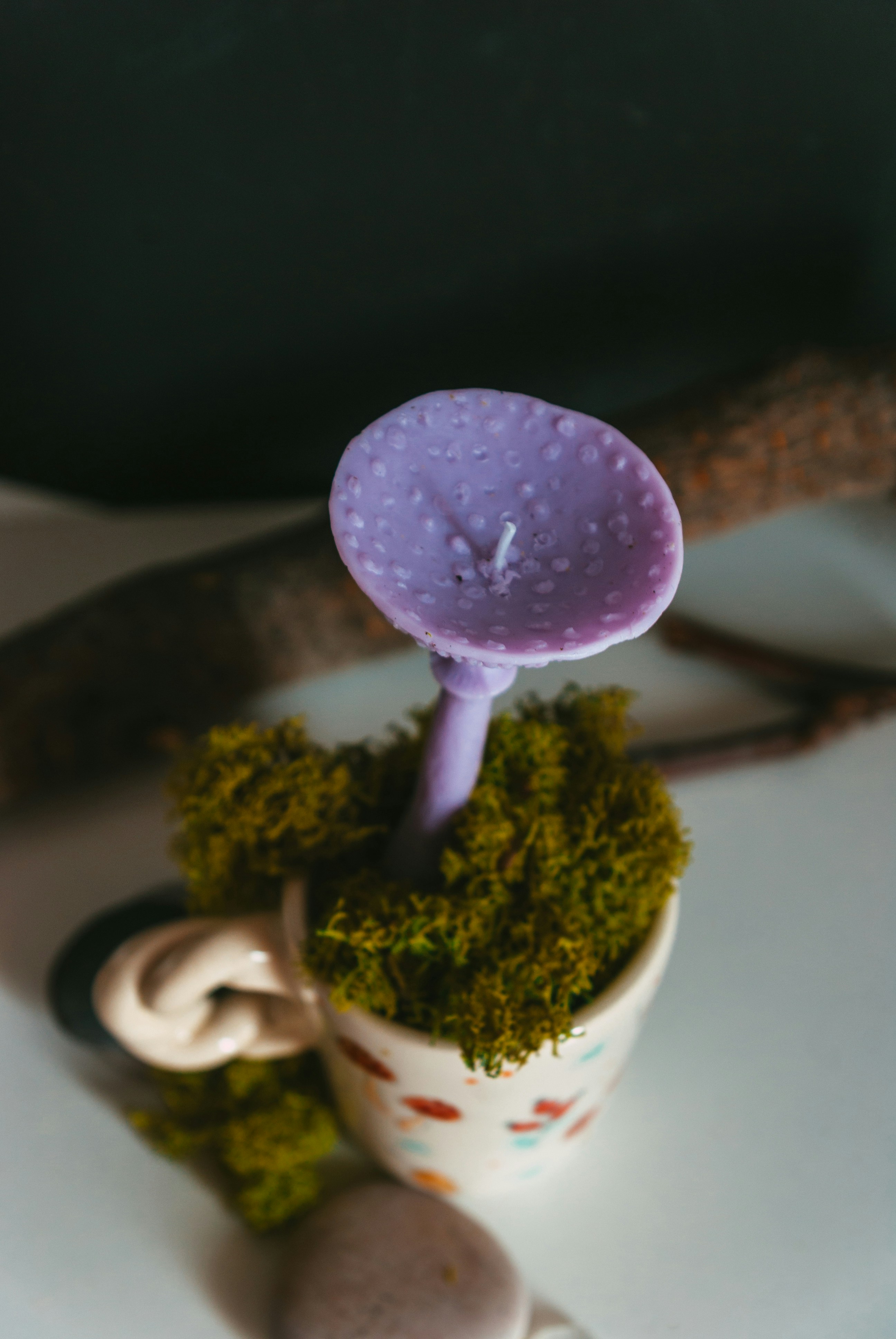 The Violet Mugcap: a mossy still life with a dew-dusted purple fungus