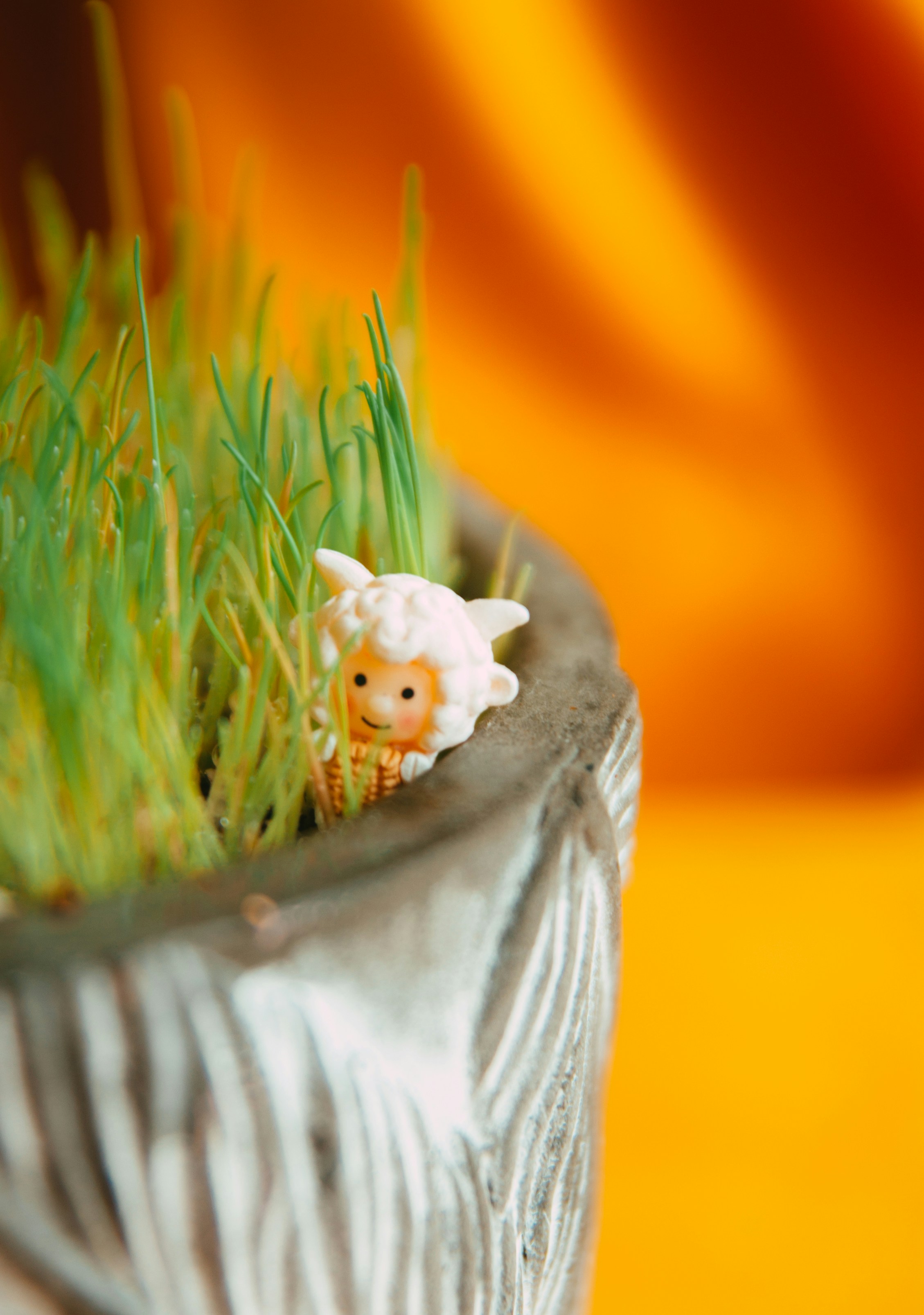 A Miniature Sheep Peeks Through Green Blades in a Weathered Pot