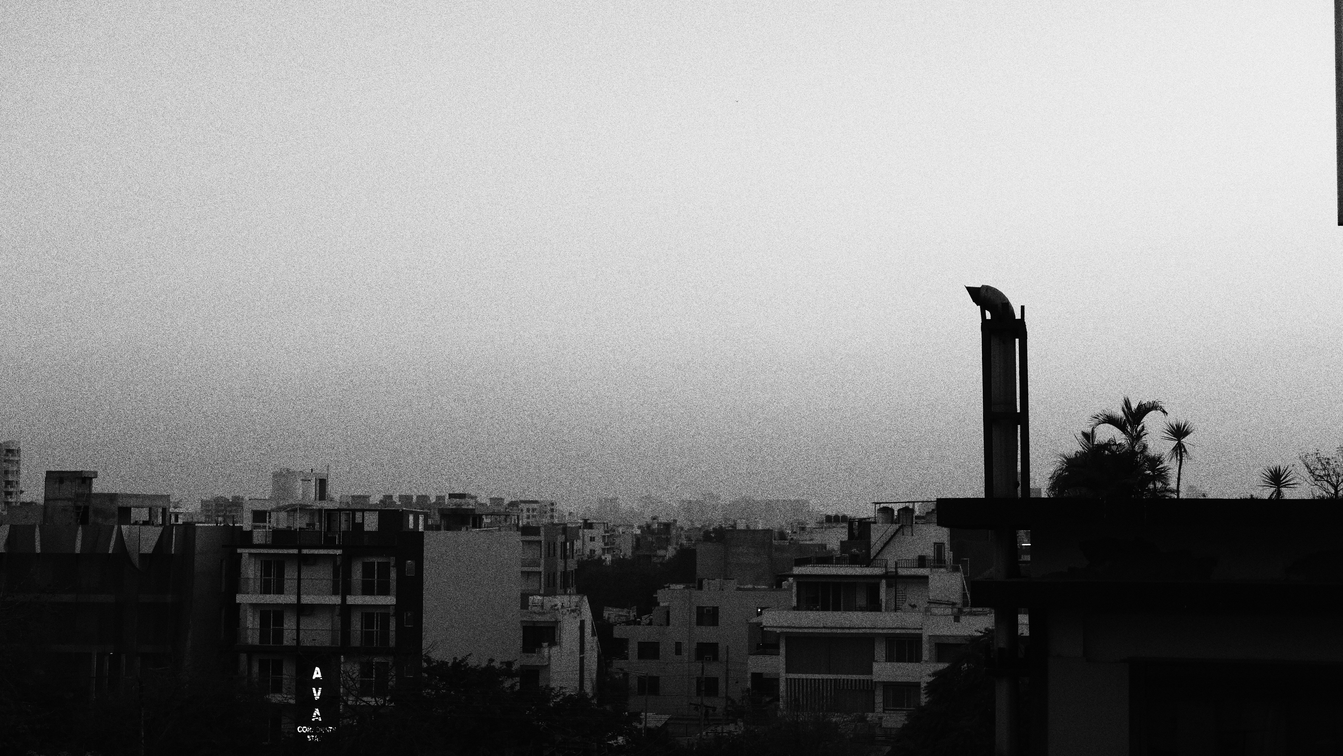 Black-and-white cityscape photograph of a rooftop skyline with a prominent vertical tower, silhouetted palm trees, and distant buildings. The composition emphasizes vertical contrast against a pale sky.