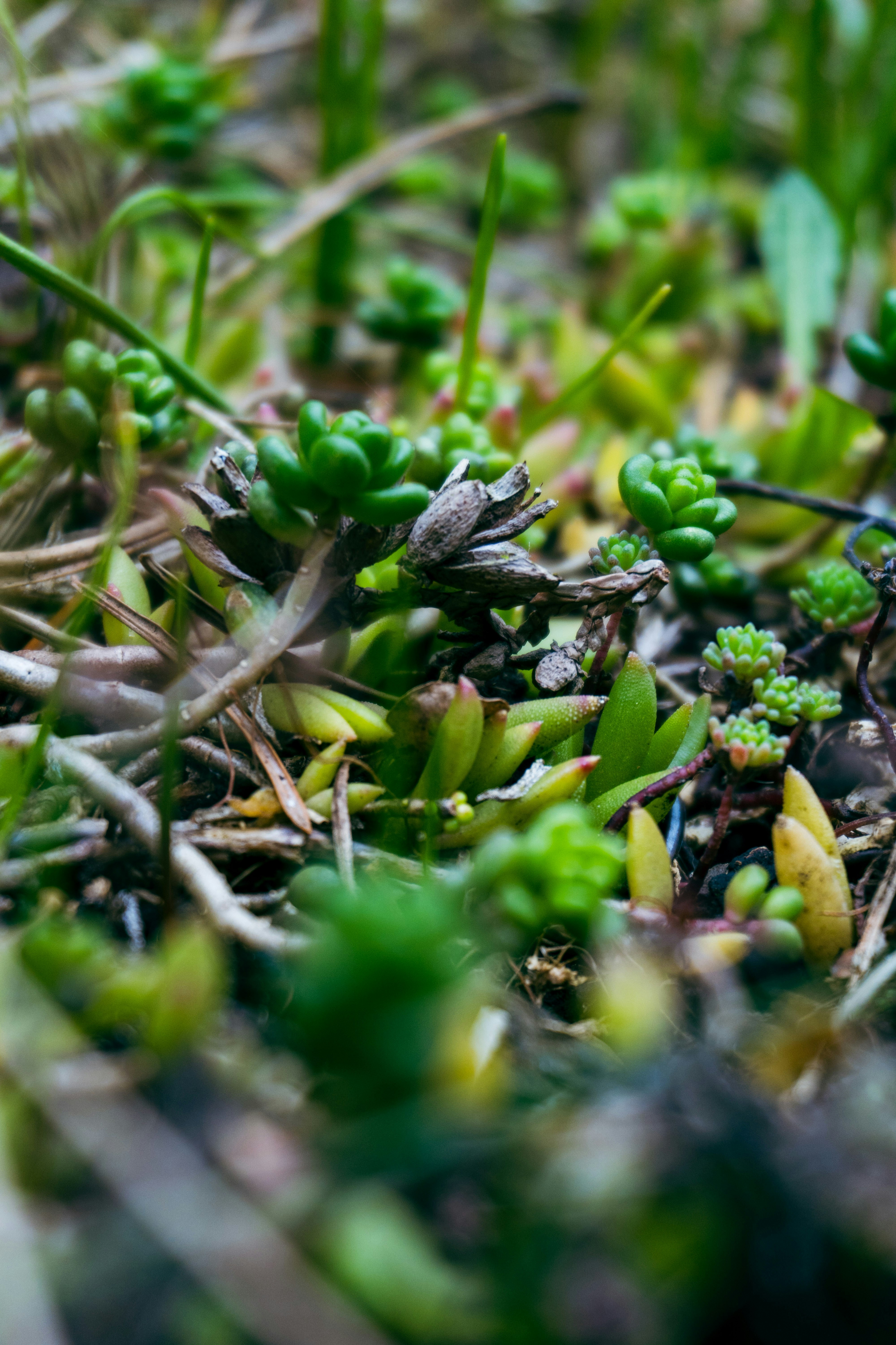 Photo by Nicola Welner with Sony Alpha 6100