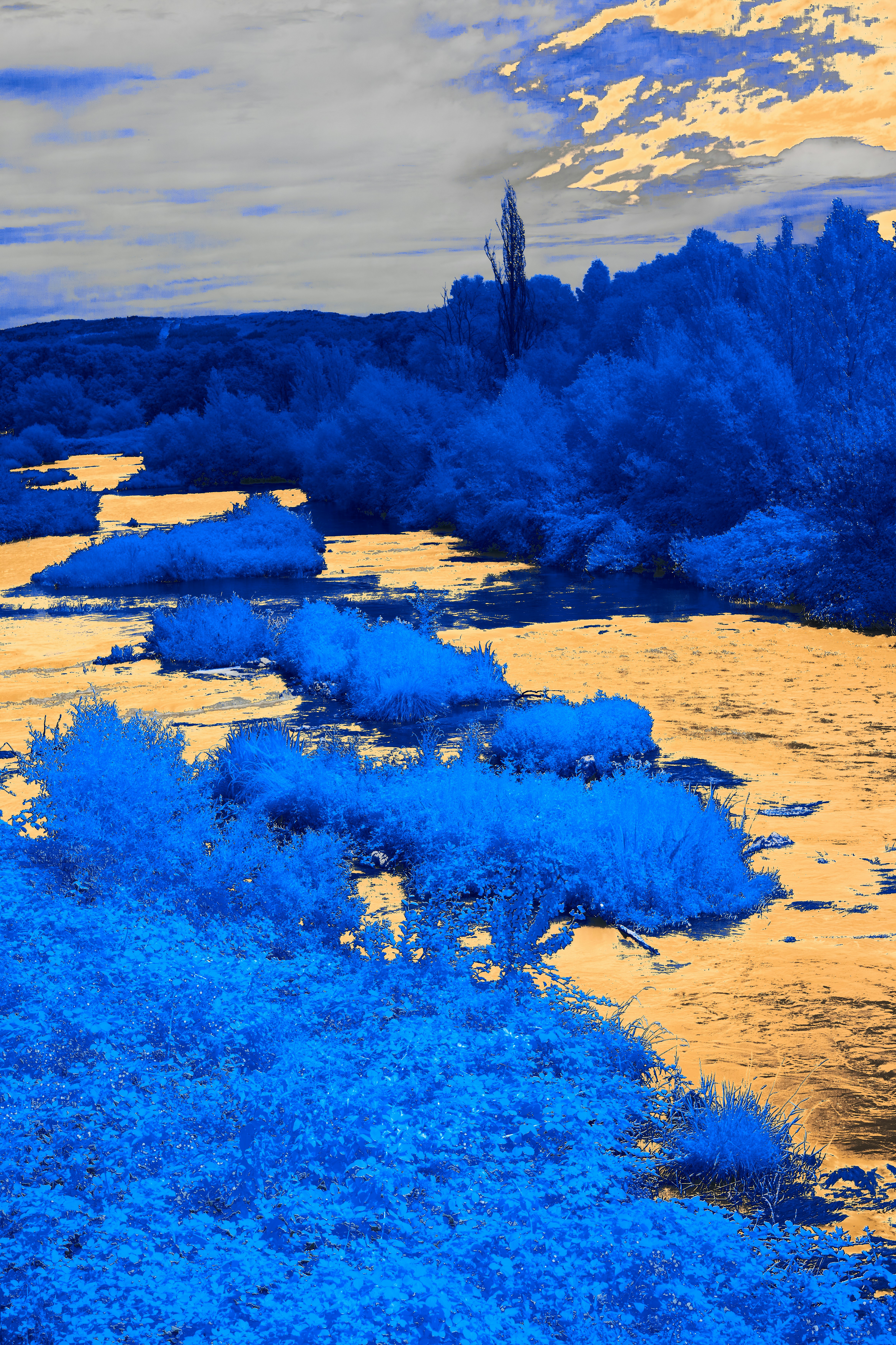 Infrared Vista: A River Woven Through Azure Foliage