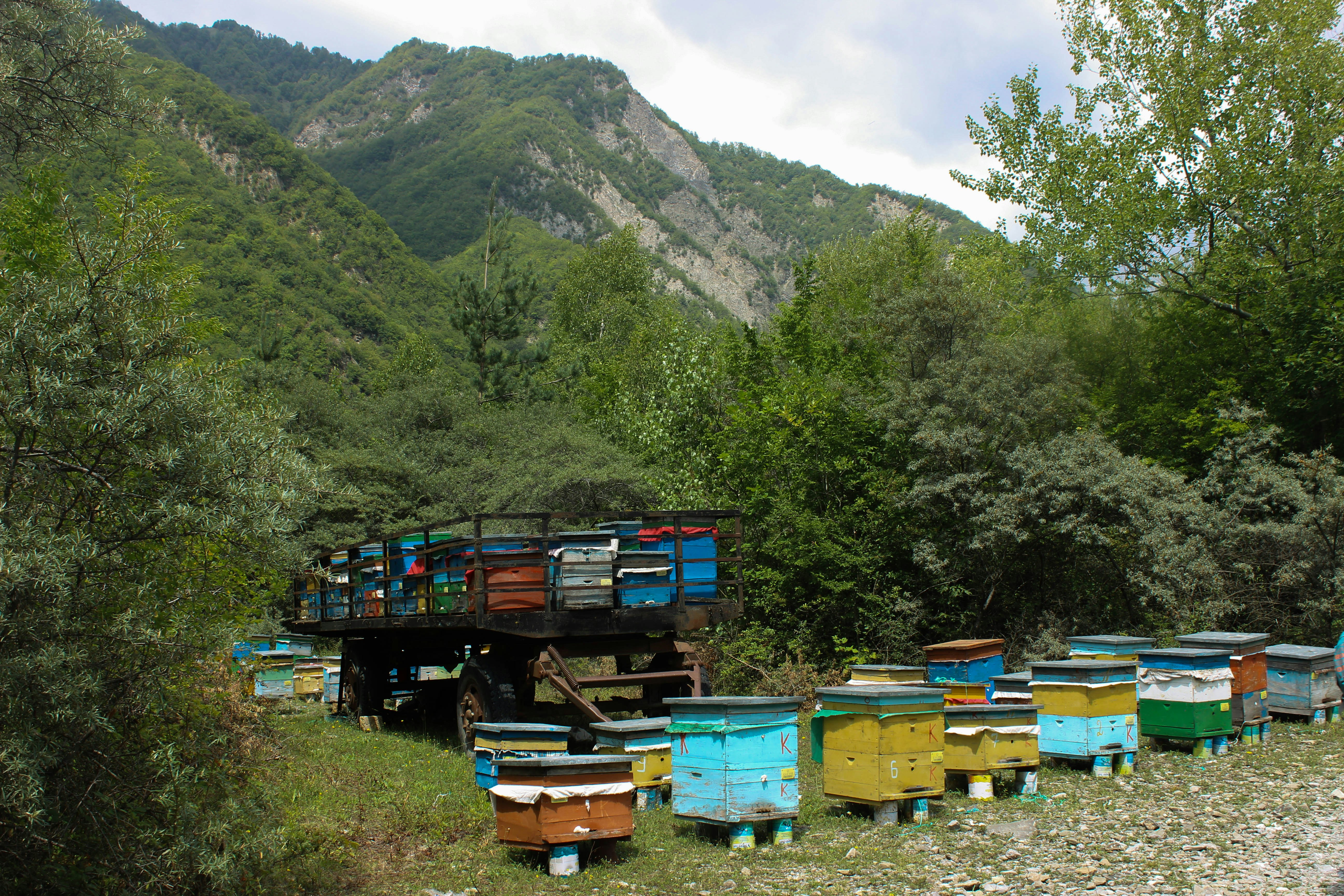 Photo by Mahsati Jalilli with Canon EOS 600D