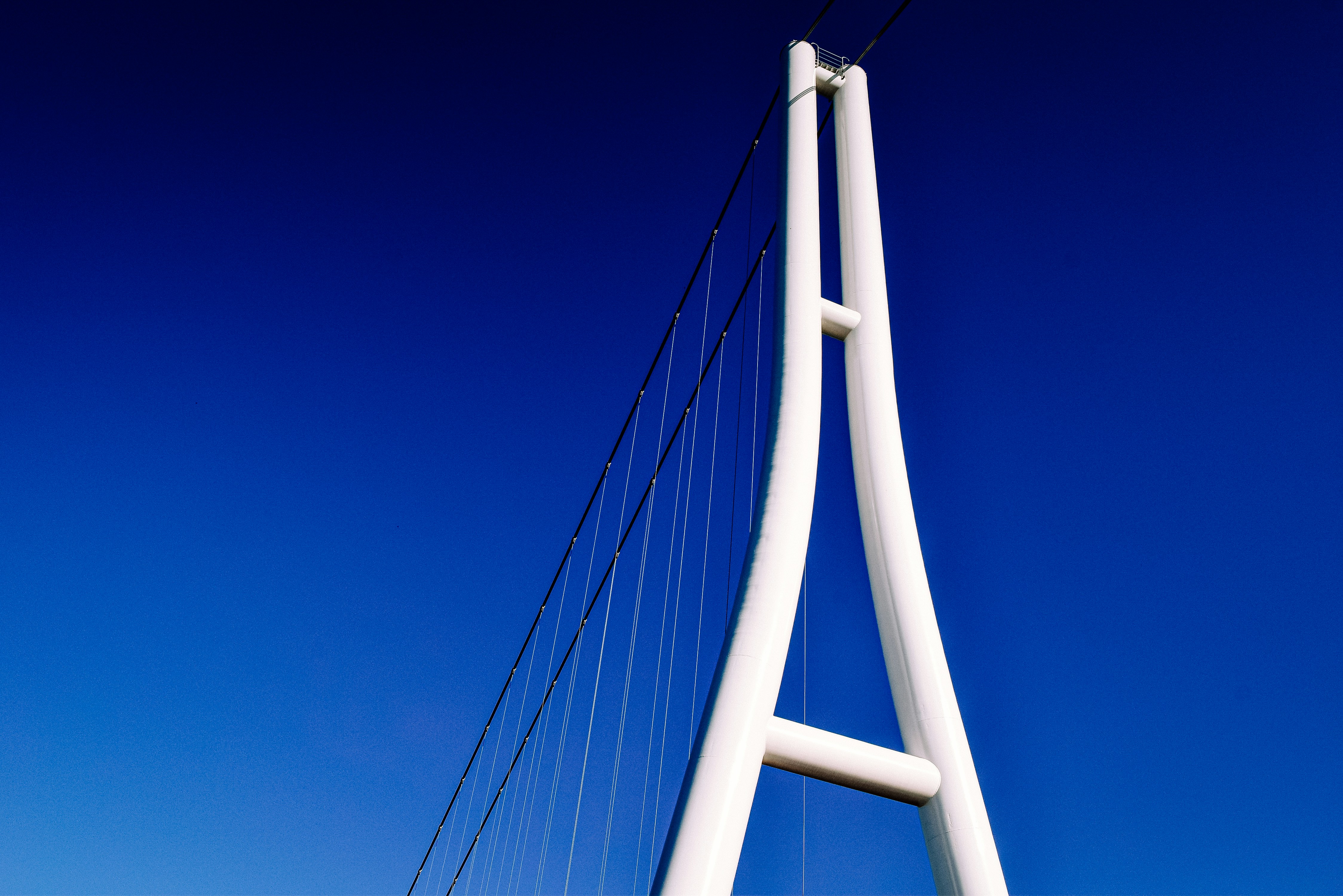 Architectural Elegance: Towering Symmetry