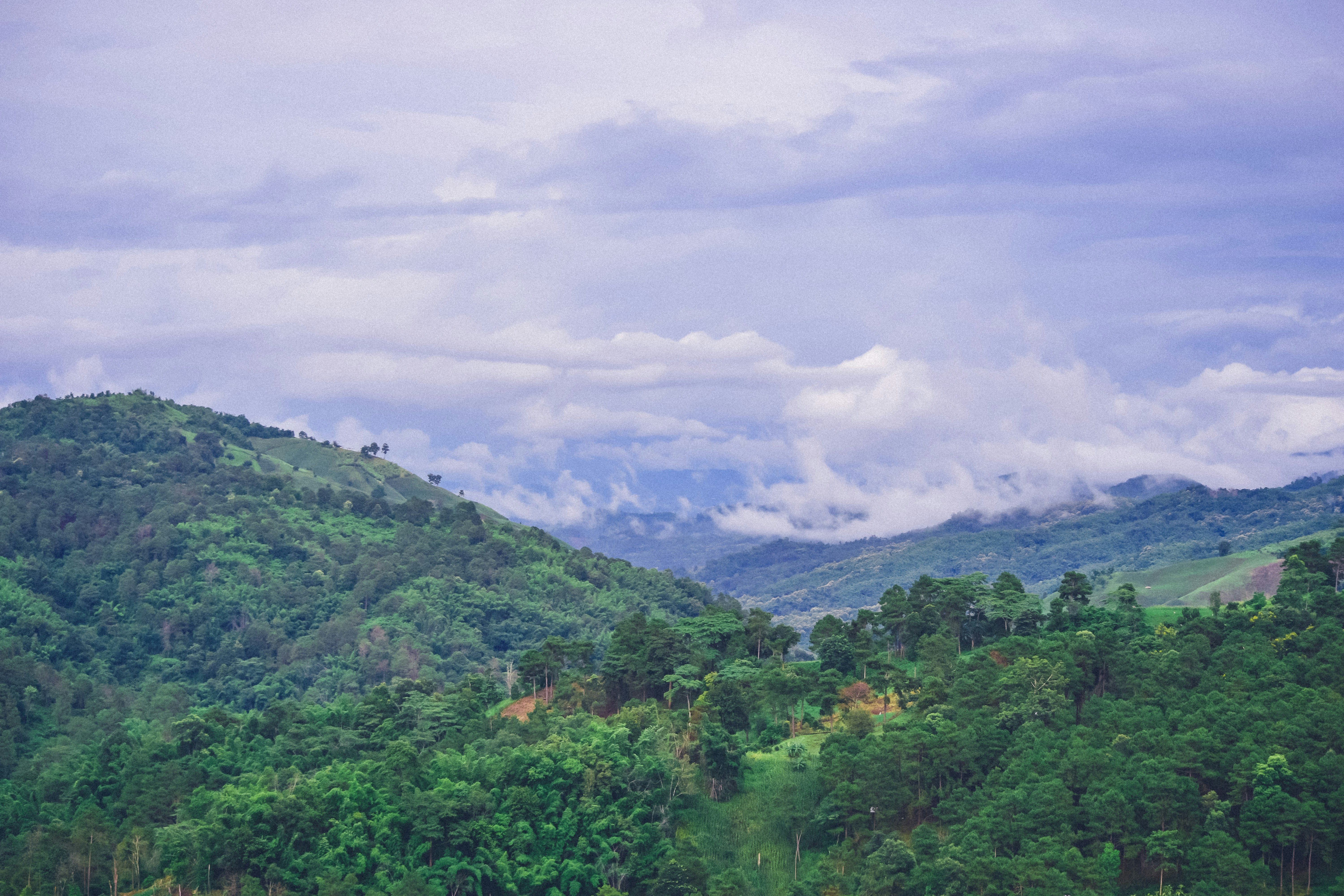 Green hills under a cloudy sky with mist rolling over distant peaks.