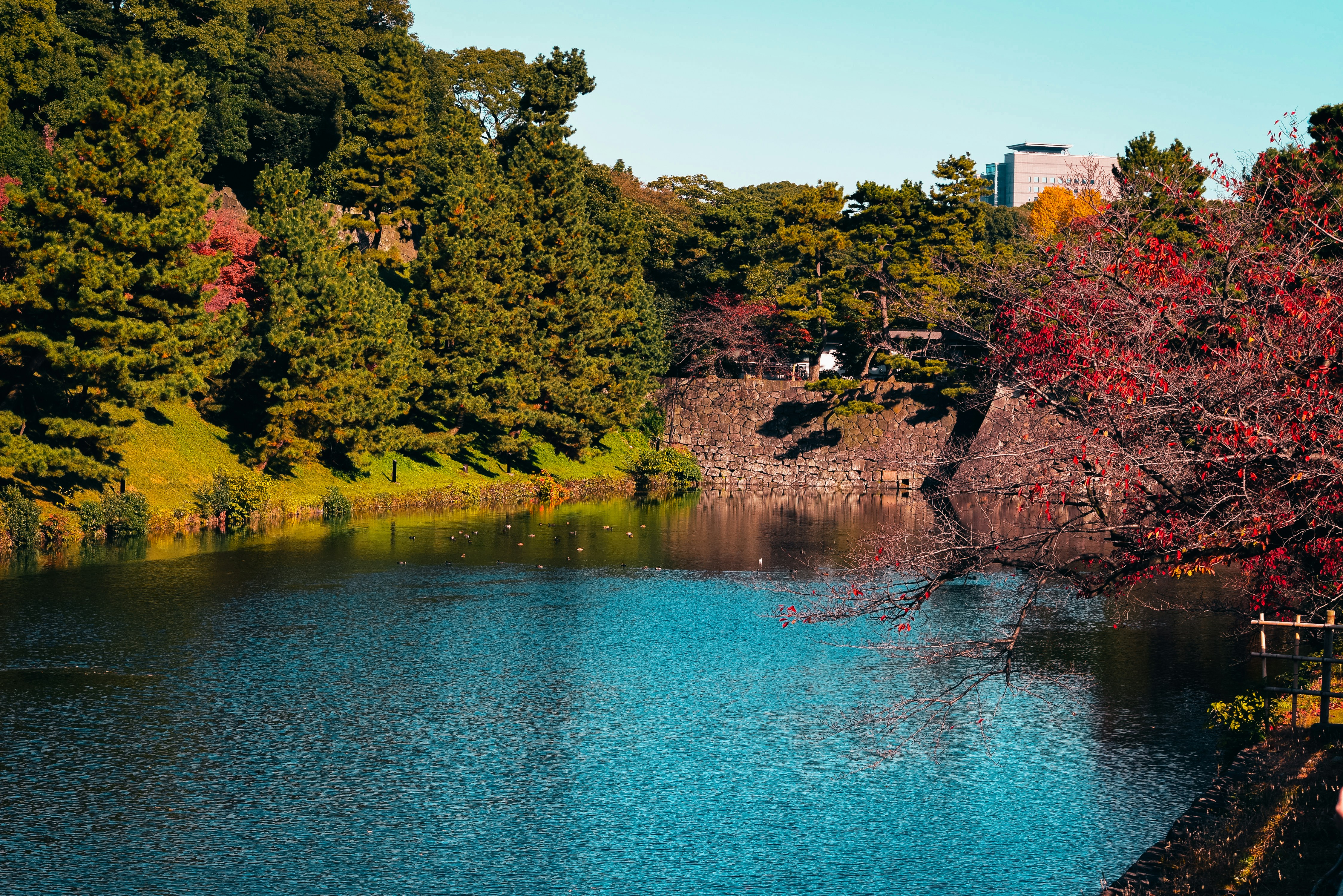 Photo by Nopparuj Lamaikul with Nikon D5300