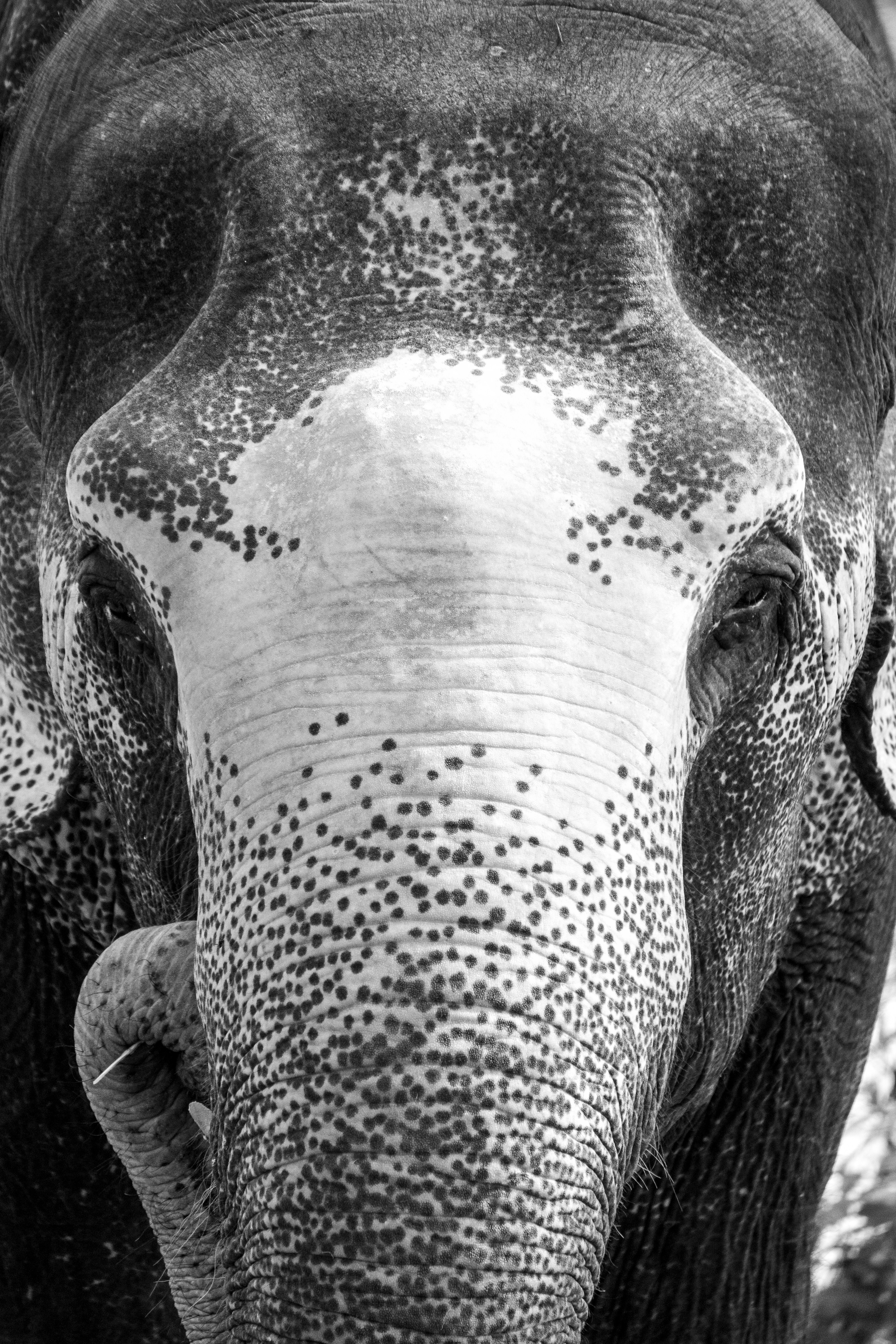 Photo by Adam Bignell with Sony Alpha 6400