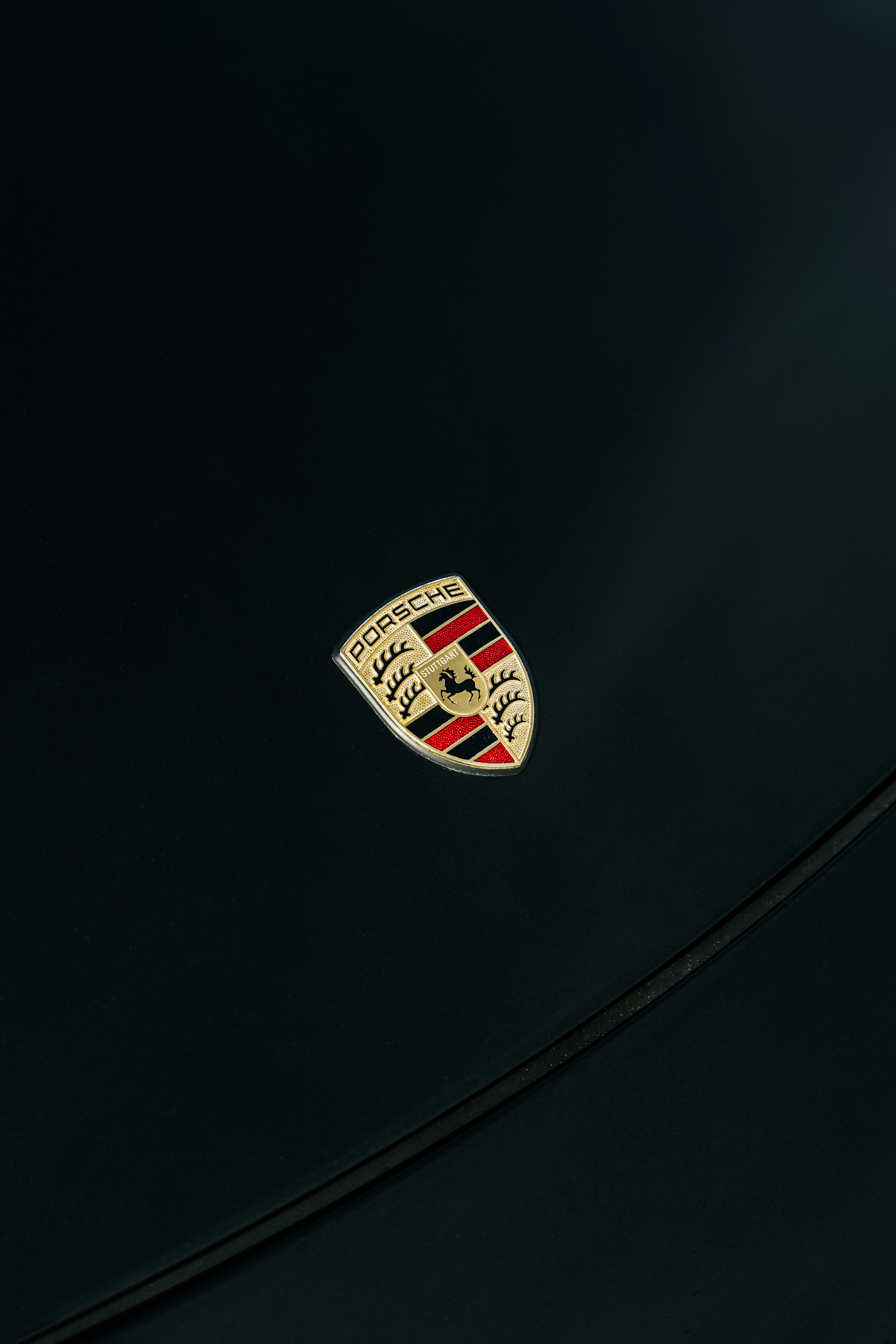 Photo by Tiago Ferreira with Sony Alpha 7 III