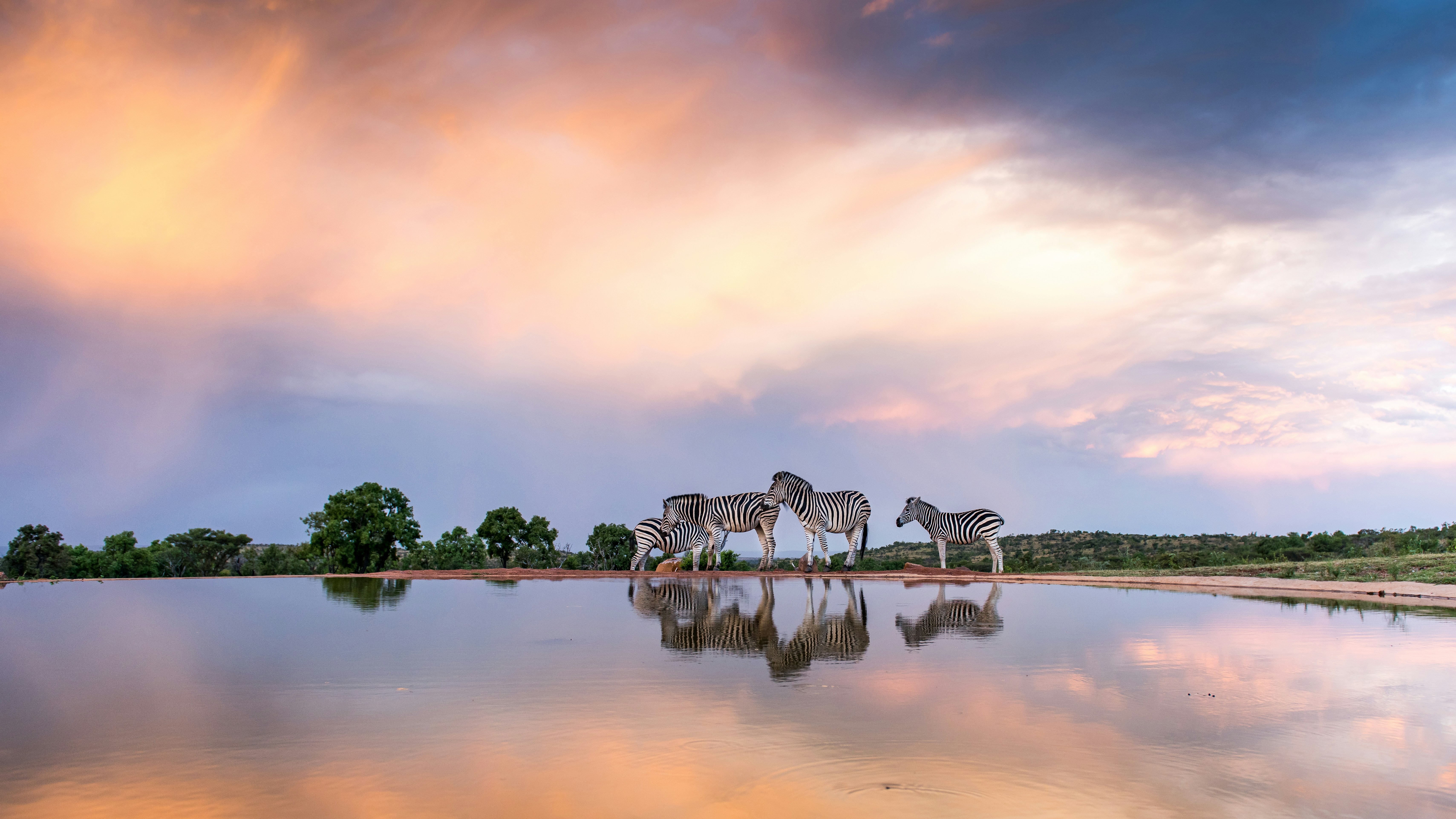 Patrick Kool (@patrick62) | Komunitas Foto Unsplash