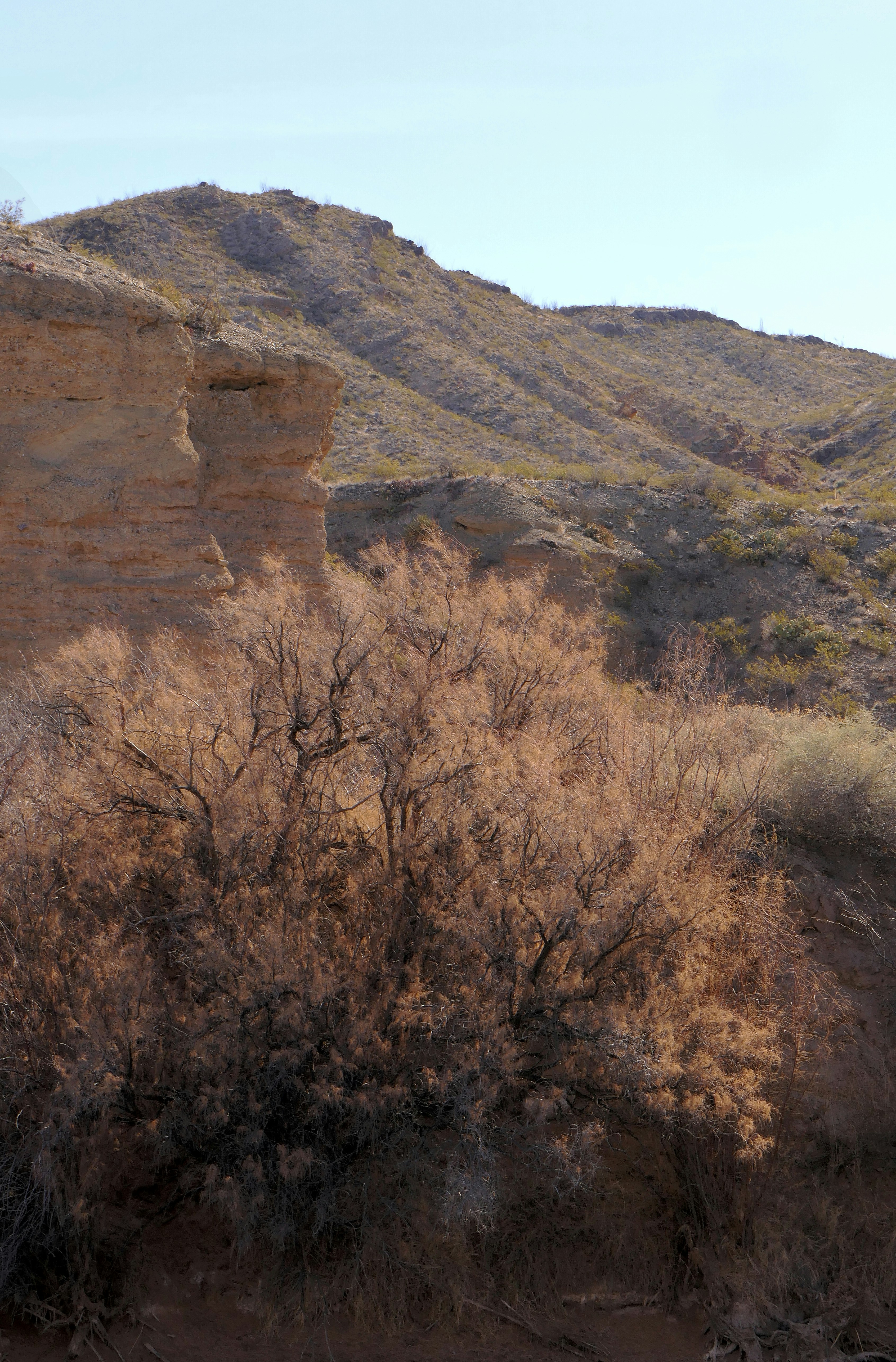 winter hillside along Rio Grande River in New Mexico USA