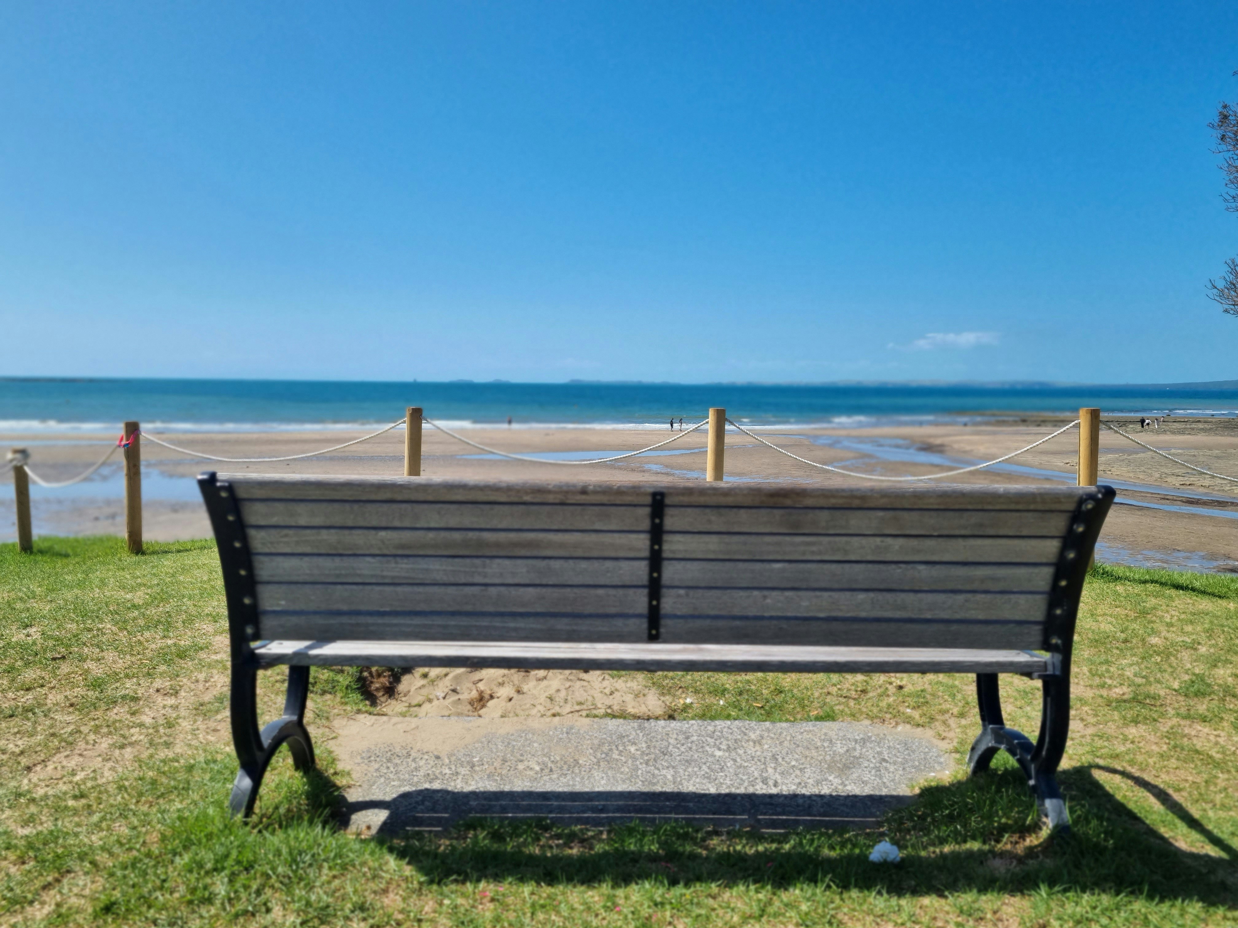 Seaside Bench Framing the Quiet Horizon