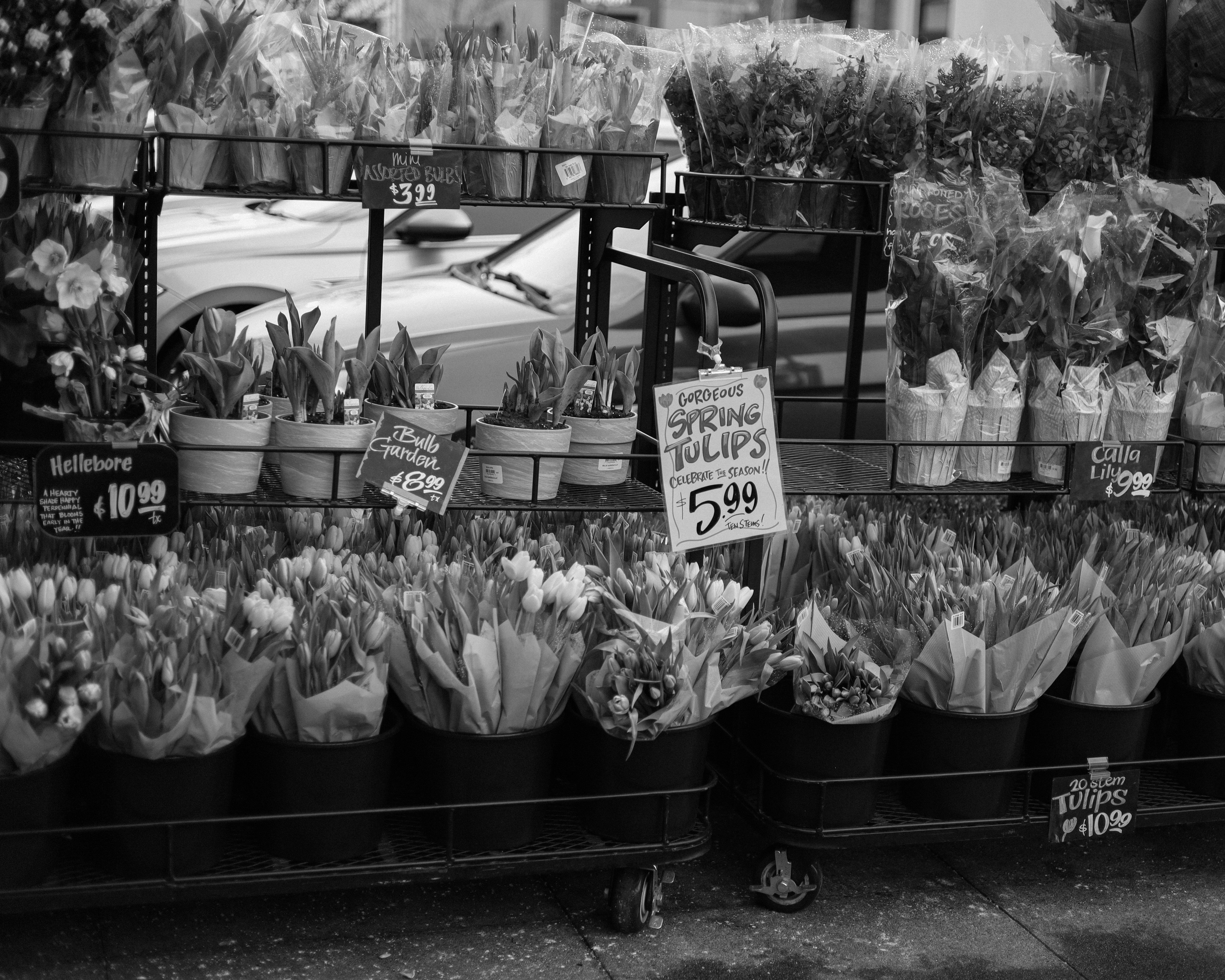 Black and white photo of a flower stand displaying assorted bouquets in pots with a car visible in the background.