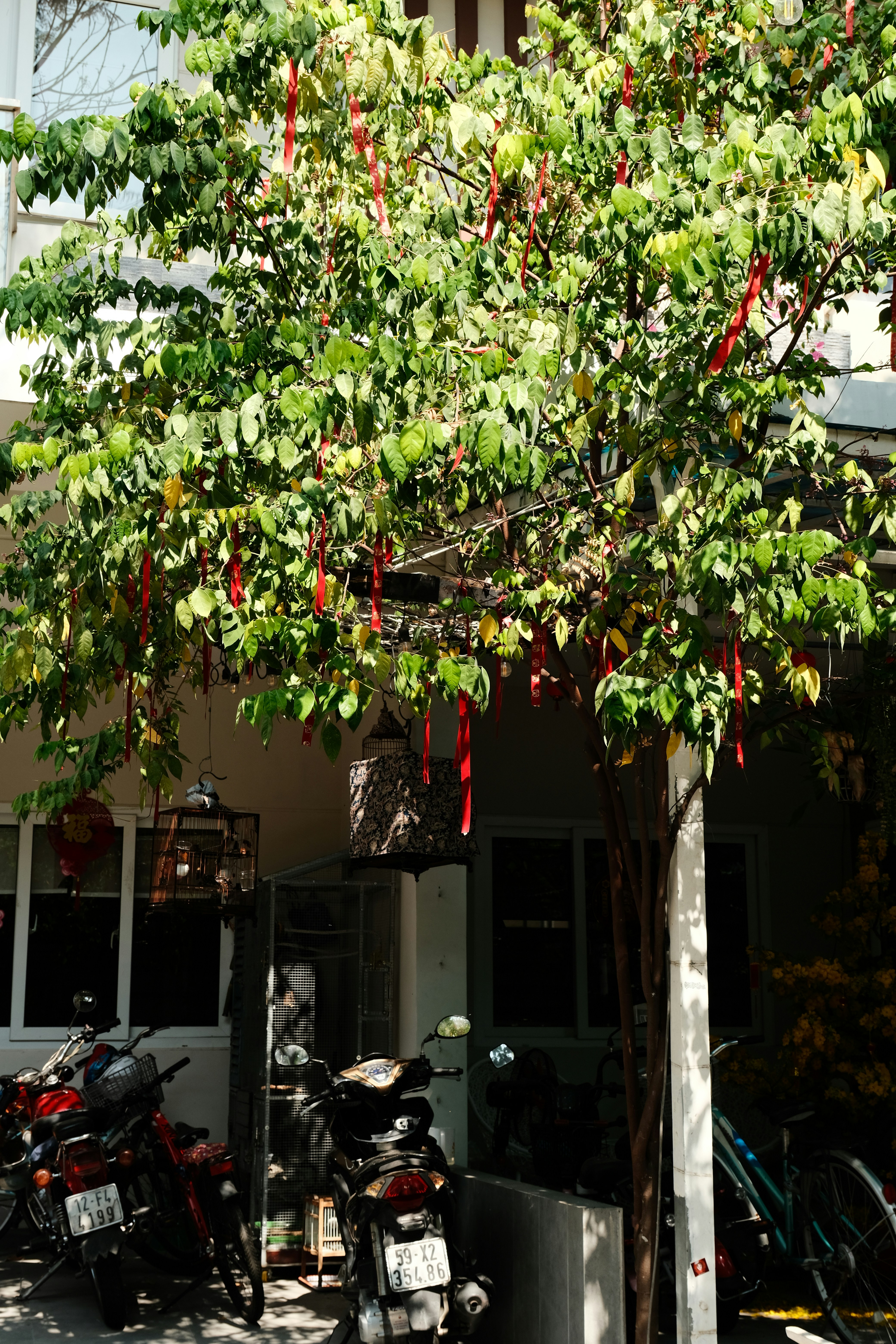 Photo by Duc Van with Fujifilm X-T30 II