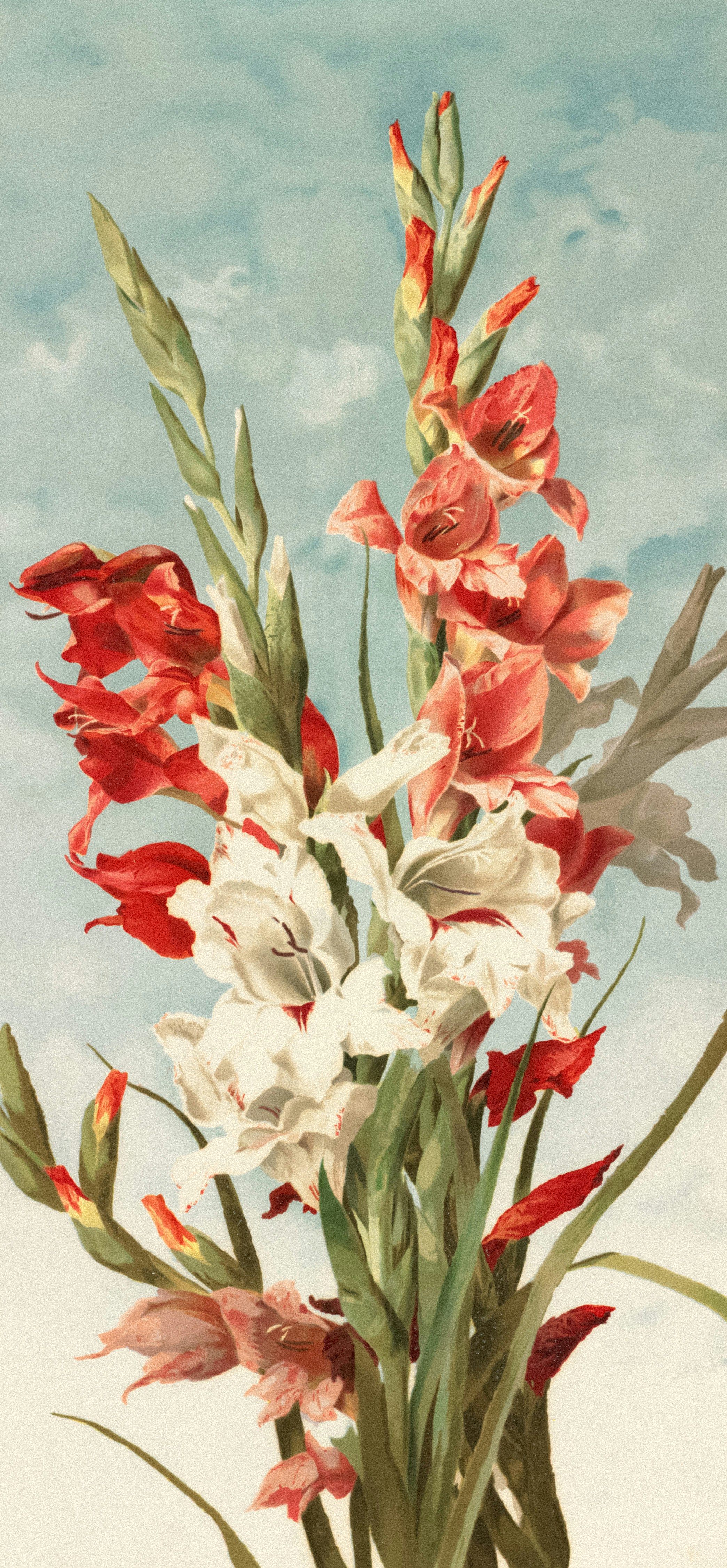Vibrant arrangement of red and white gladiolus flowers against a soft blue sky. The composition highlights the delicate petals and lush greenery.