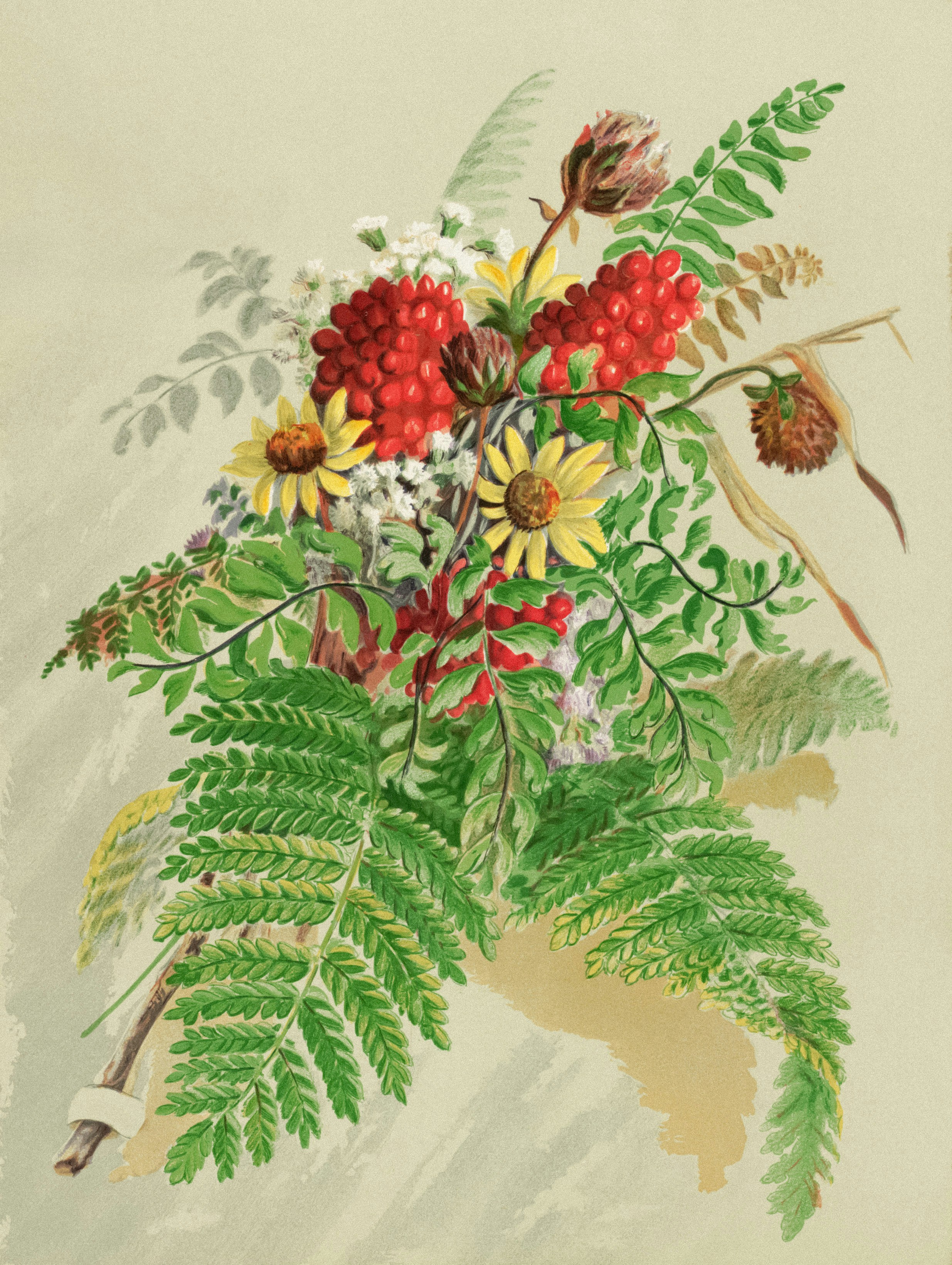 Title: Flowers and ferns Artist: Clarkson, L., 1851-1928 Publisher: L. Prang & Co. Name on Item: L. Clarkson Date: [ca. 1861–1897] https://www.digitalcommonwealth.org/search/commonwealth:xp68kg367
