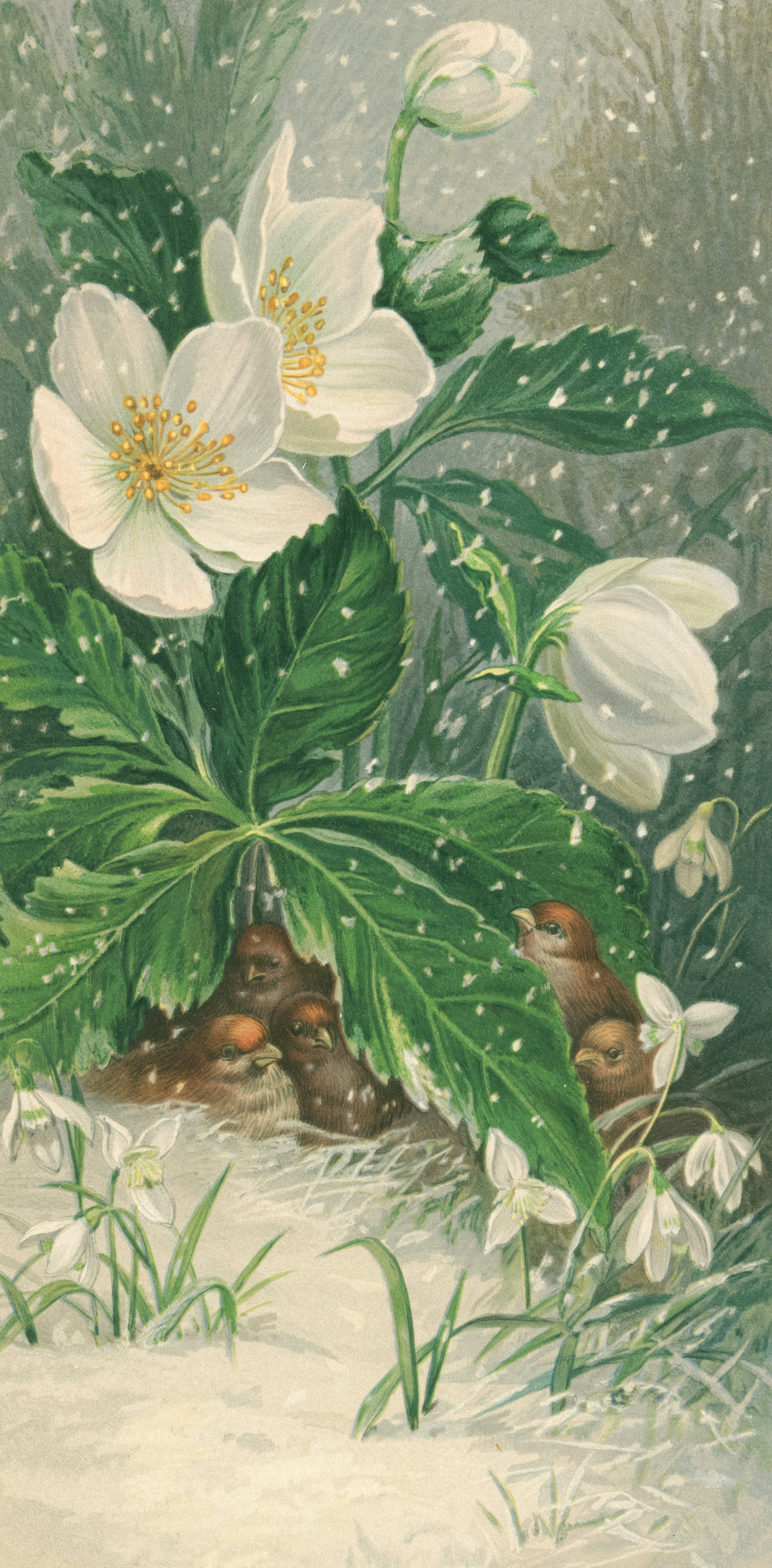Painting of a winter garden scene with white blossoms and lush green leaves, featuring a small group of brown animals huddling in the snow.