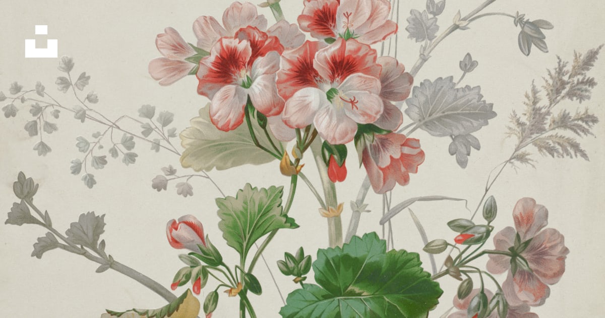 테이블 위의 꽃병에 담긴 꽃 그림 사진 Unsplash의 무료 꽃 이미지