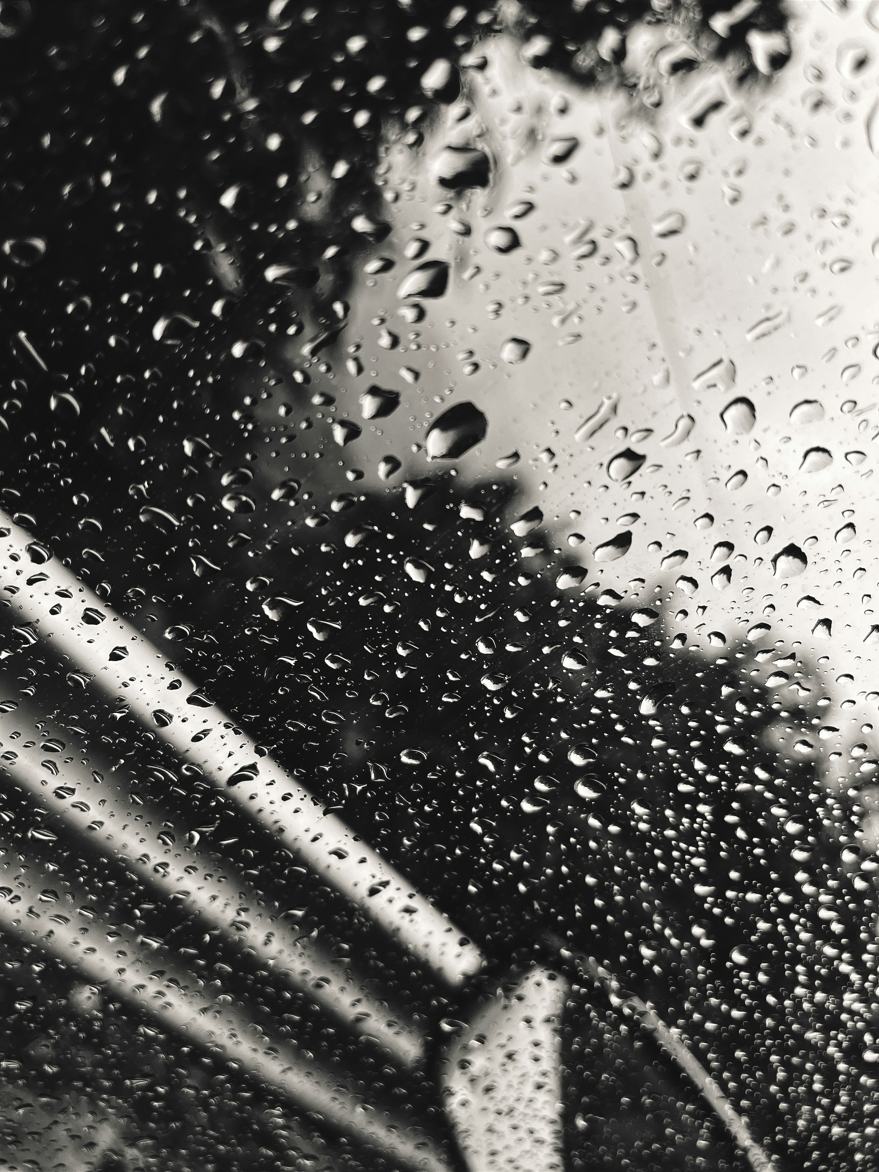 Monochrome Rain on Glass: Droplets Framing a Quiet Window Scene