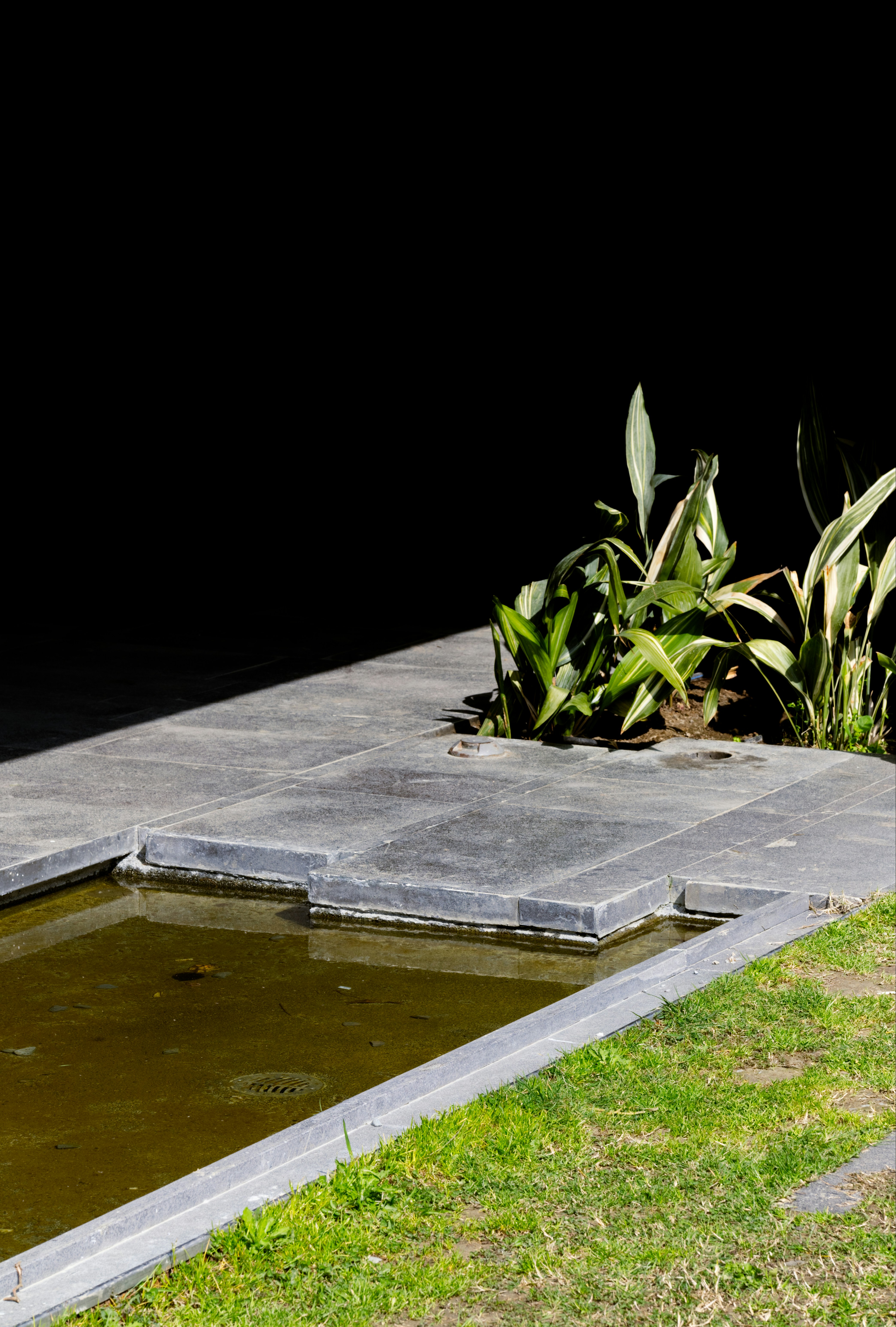 Verdant Edge: Sunlit Tilework Framing a Shadowed Entrance