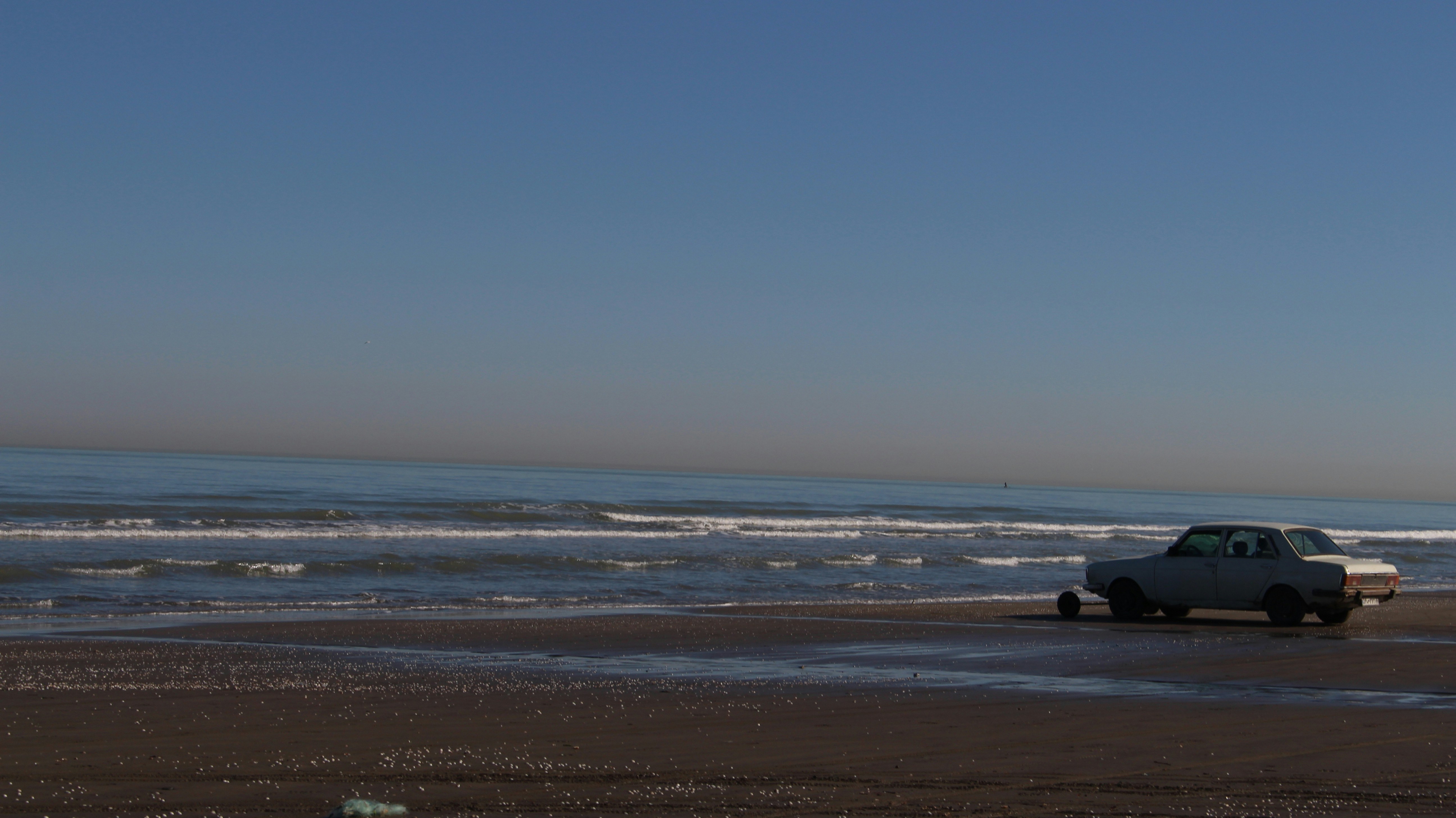 Photo by Sara Mobasheri with Canon EOS 700D