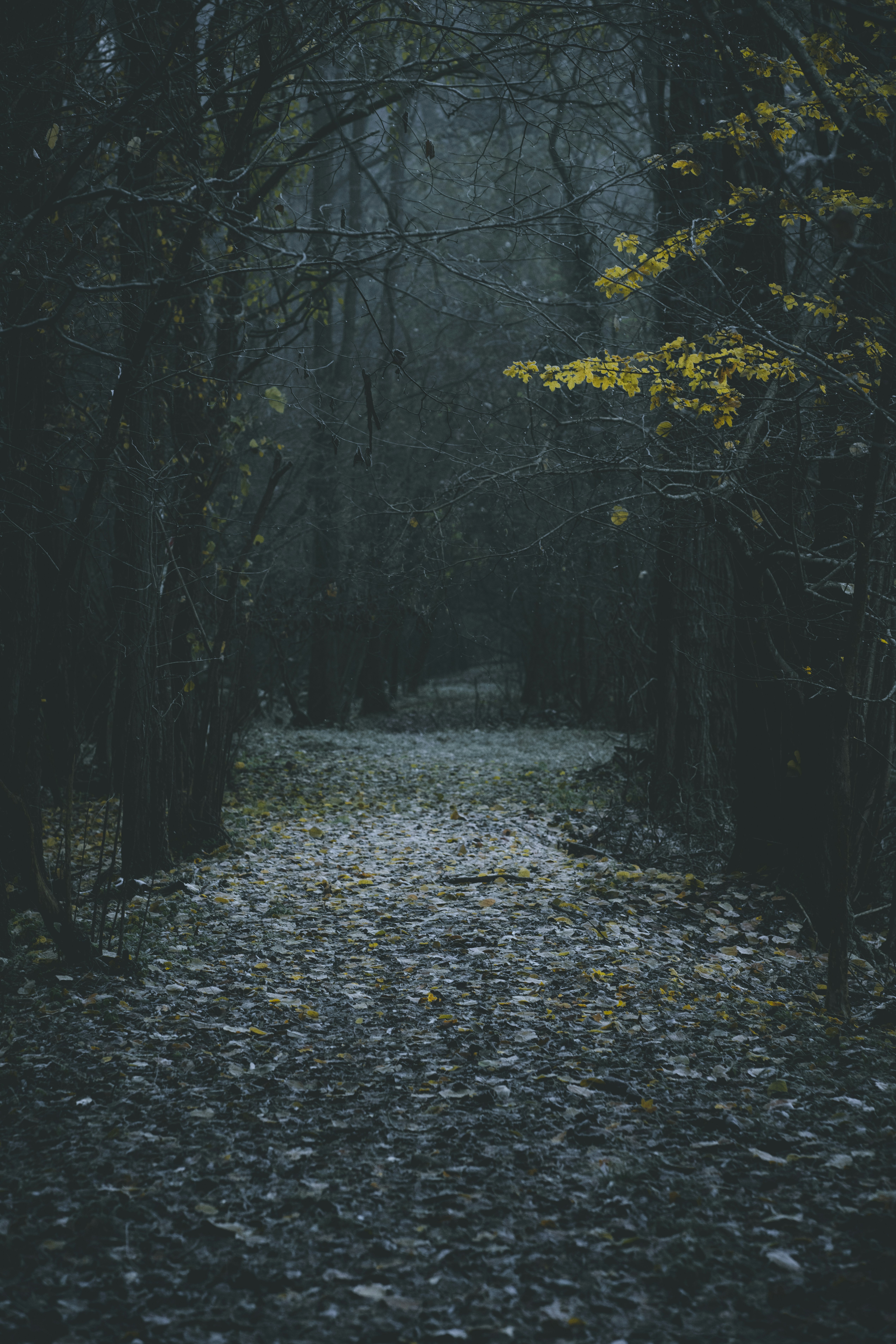 Dark Places Pictures | Download Free Images on Unsplash