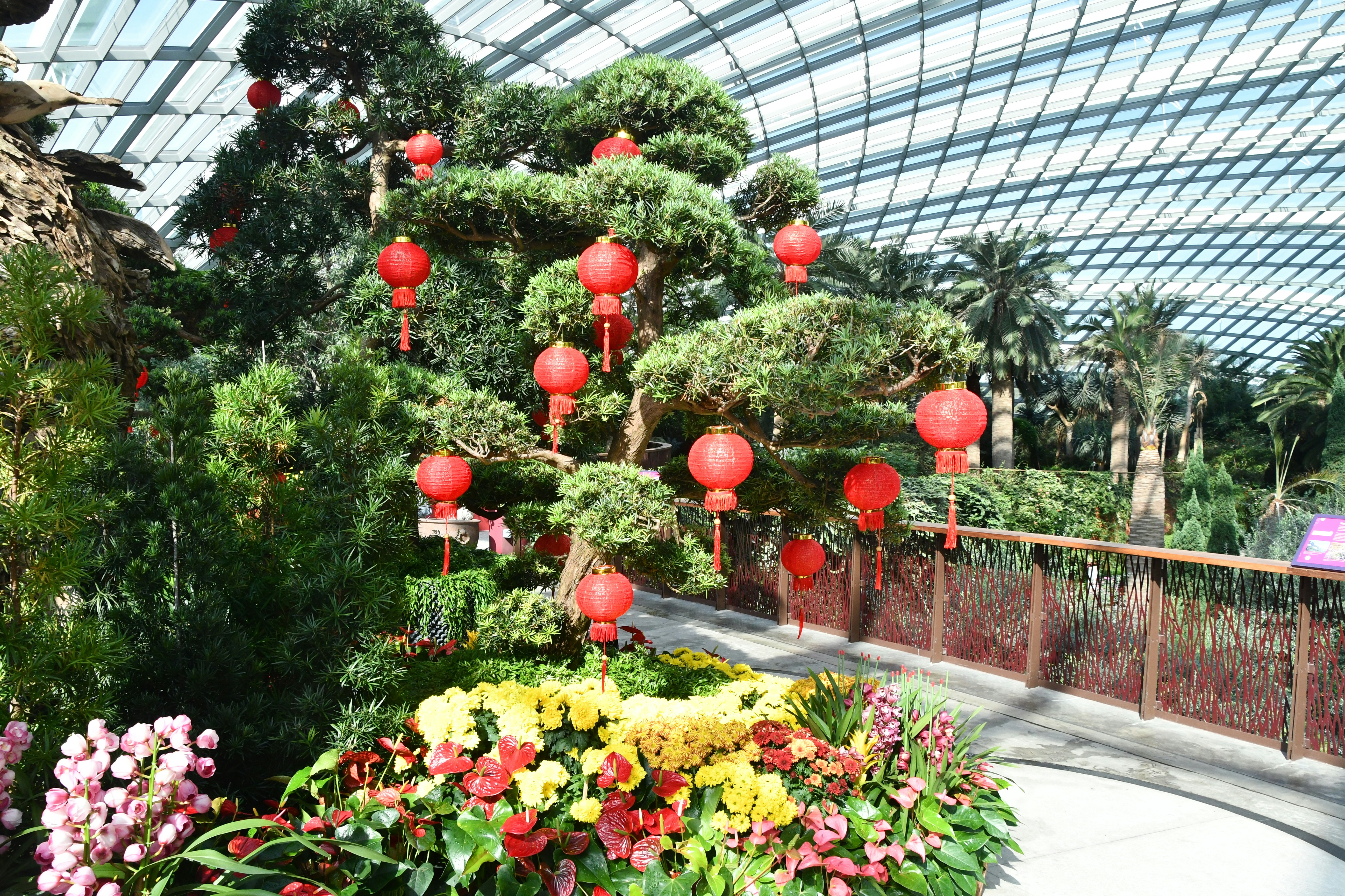 Crimson Lanterns Drift Above a Glasshouse Garden Corridor