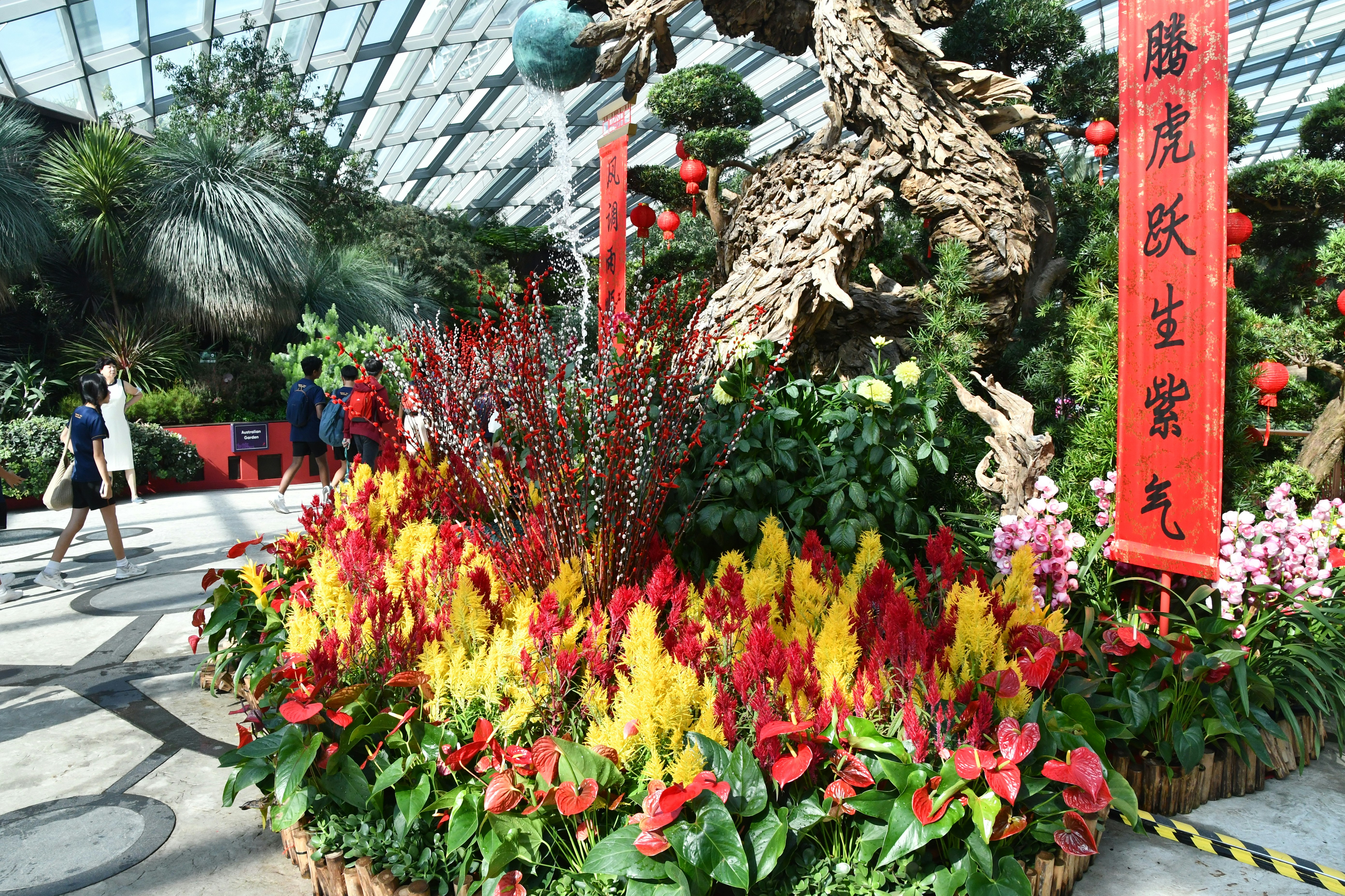 Bonsai Sentinel Under Red Banners in a Glass Conservatory Amid a Burst of Spring Blooms