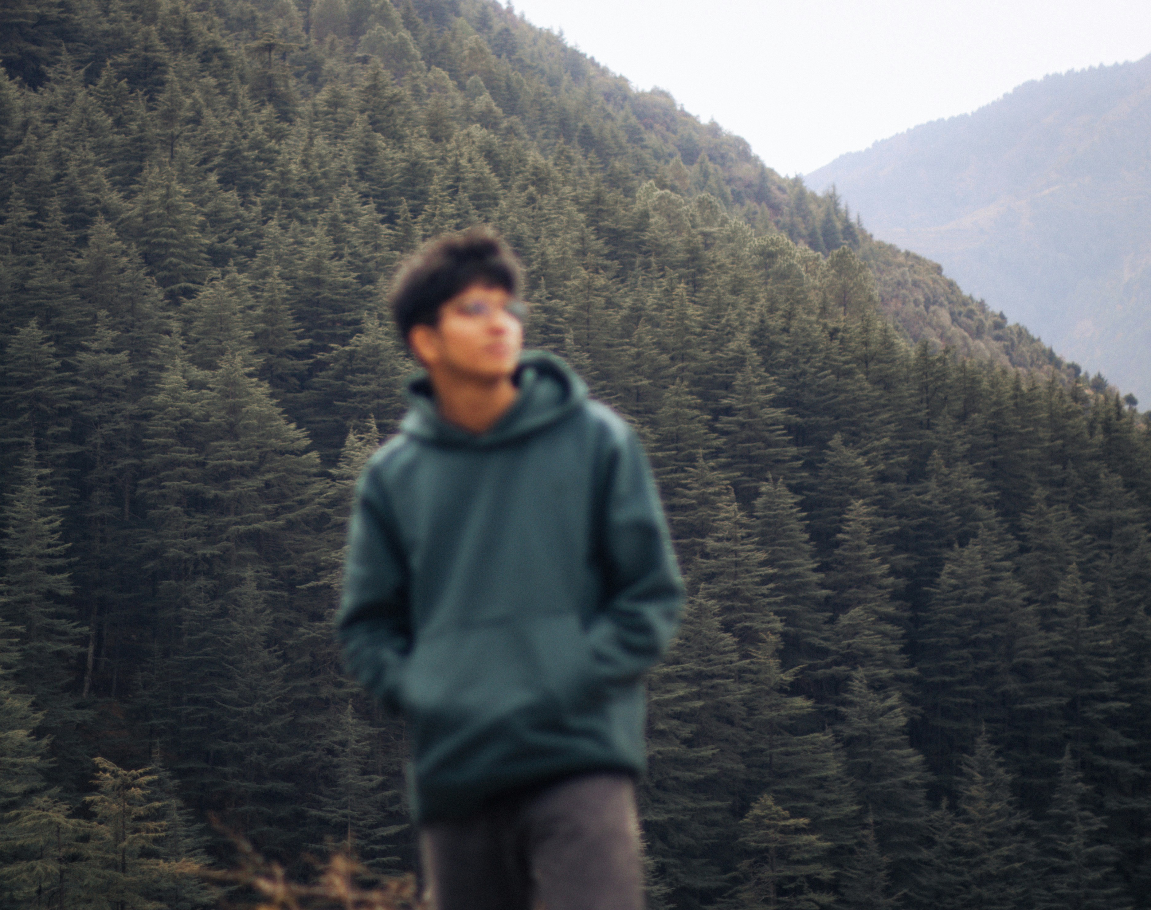 A figure in a green hoodie stands amidst a dense forest of evergreen trees, creating a serene atmosphere. The soft focus emphasizes the connection with nature.