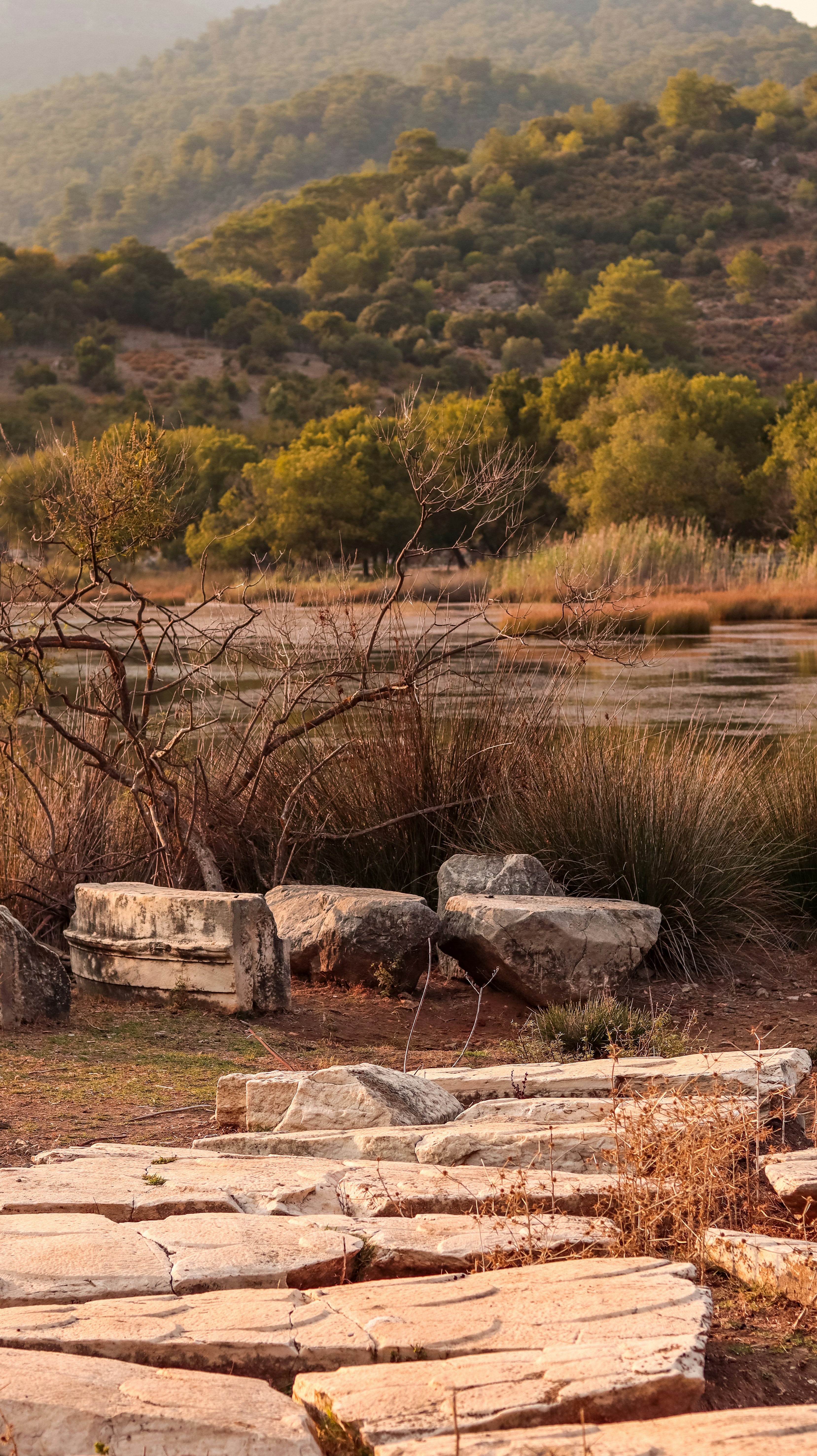 Weathered stones lead to a tranquil lakeside, framed by lush greenery and distant hills. The scene captures the essence of peaceful outdoor exploration.
