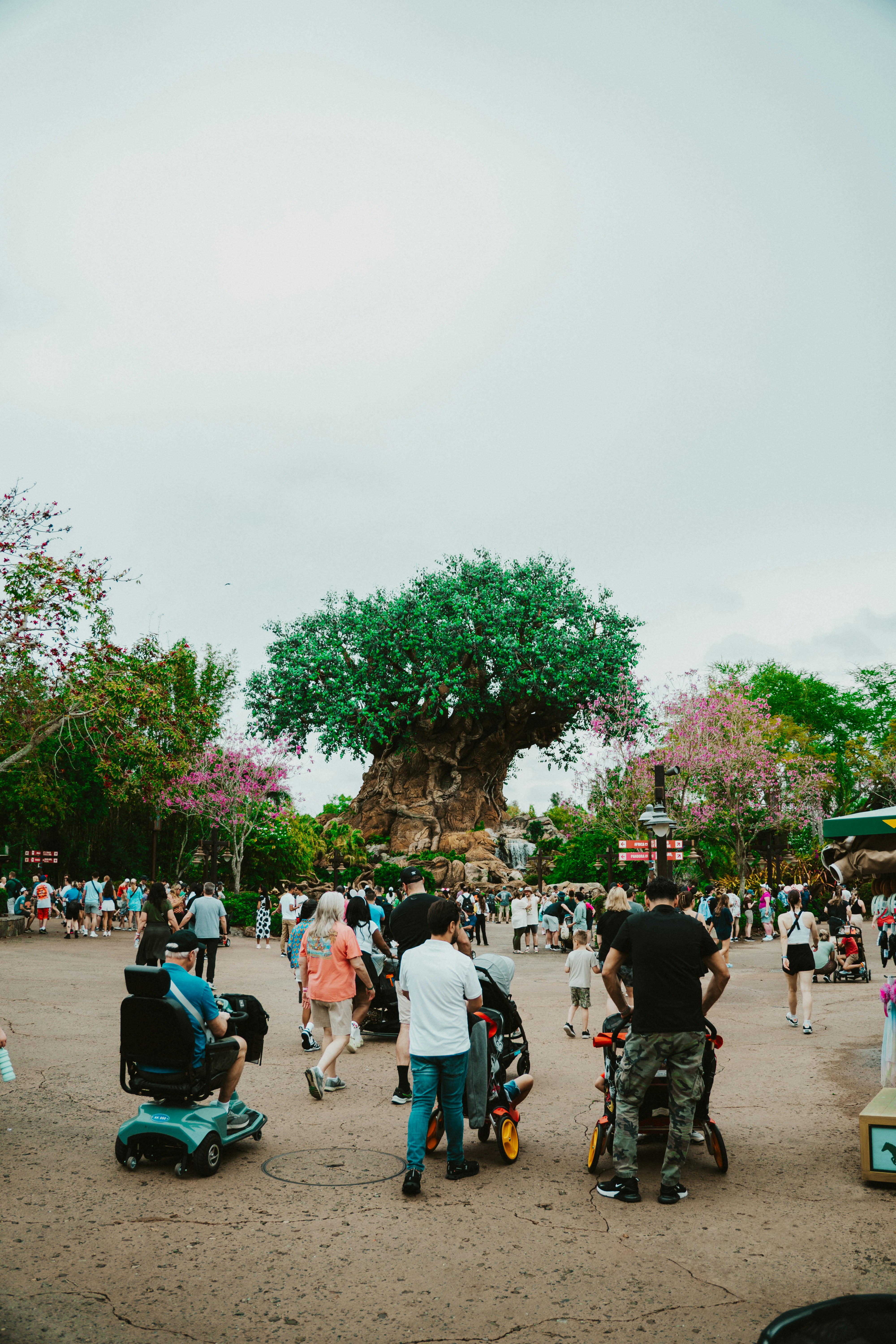 Crowd Beneath the Giant Tree of Life