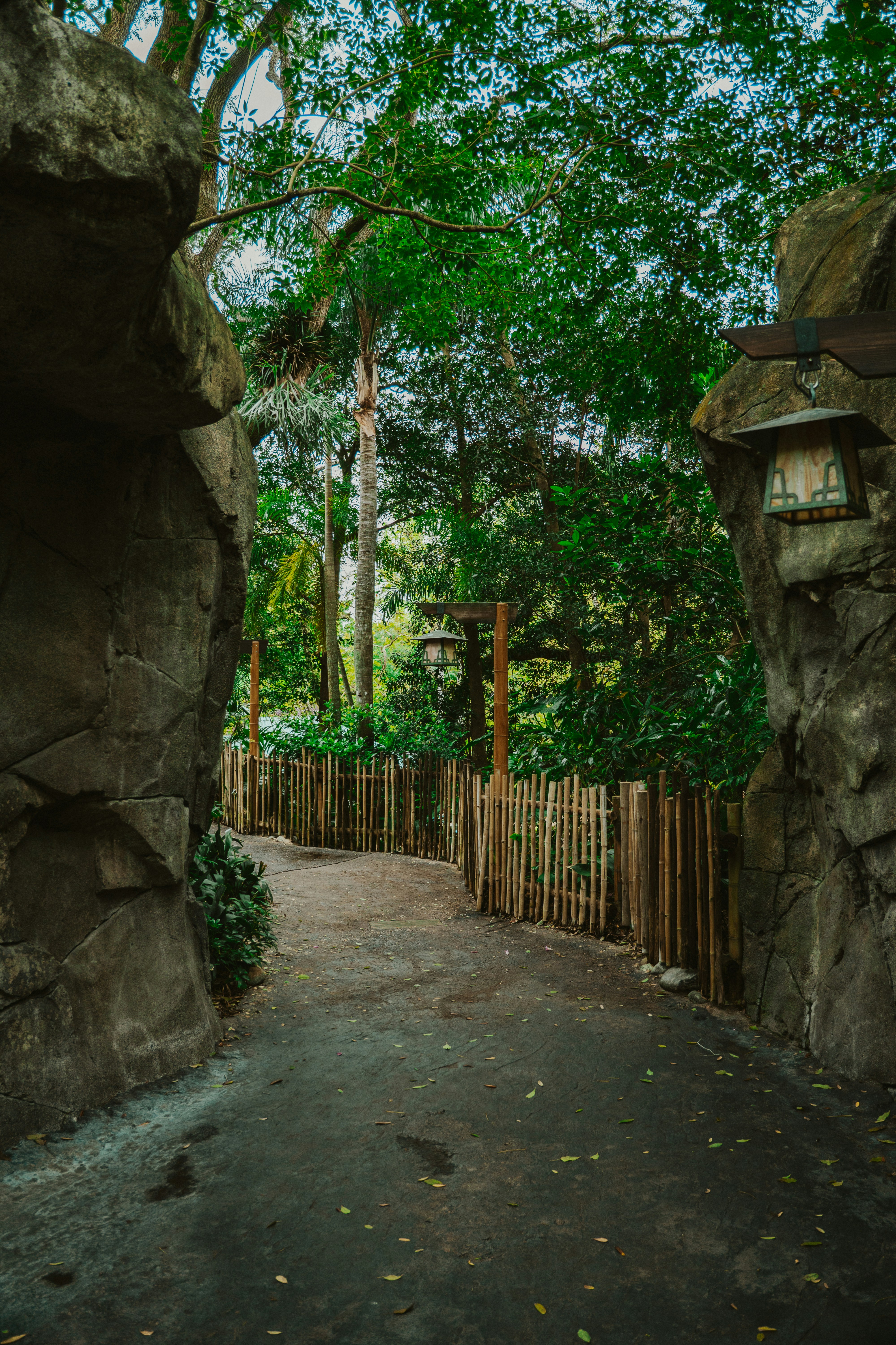 Photo by Nicholas Fuentes with Sony Alpha 6400