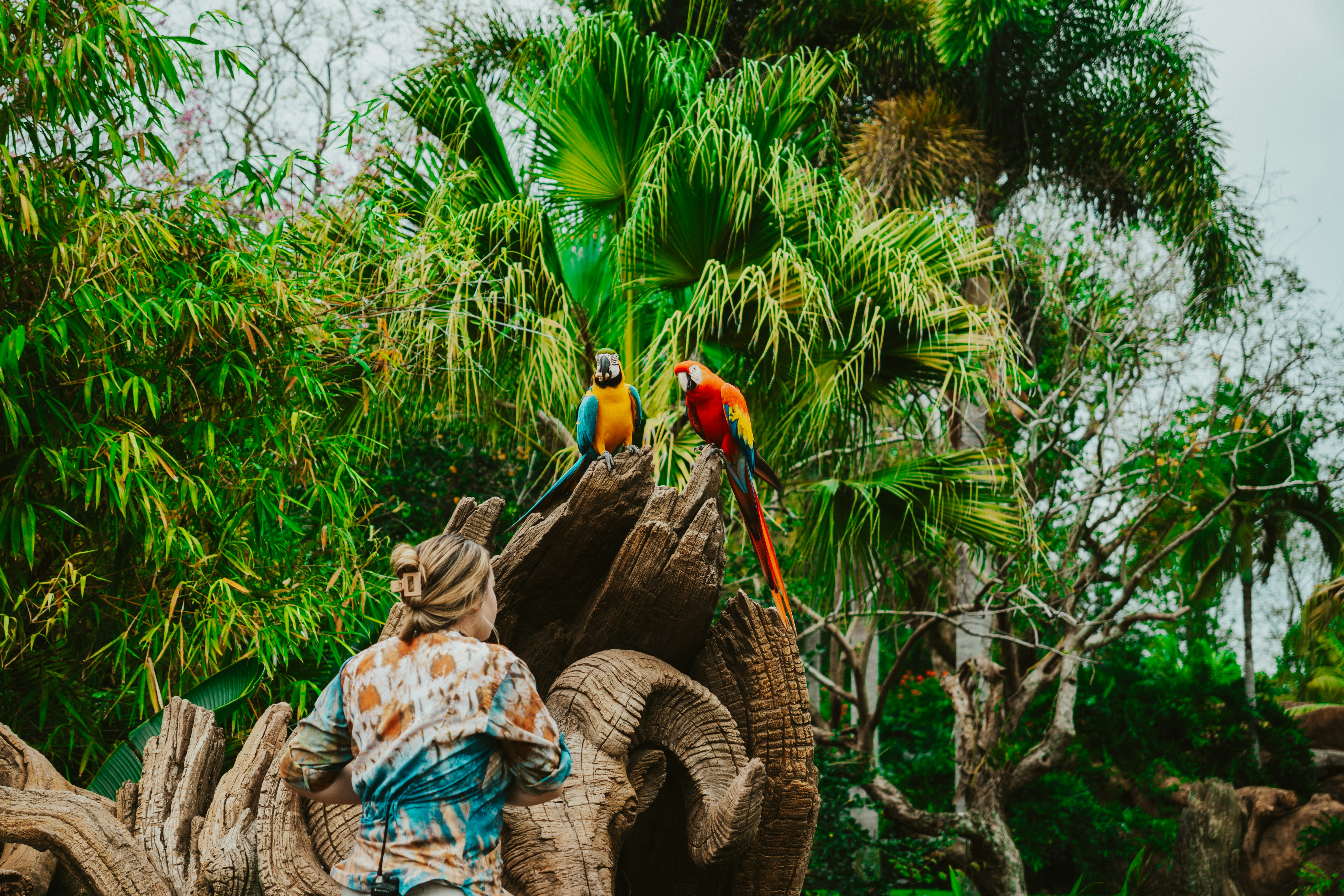 Photo by Nicholas Fuentes with Sony Alpha 6400