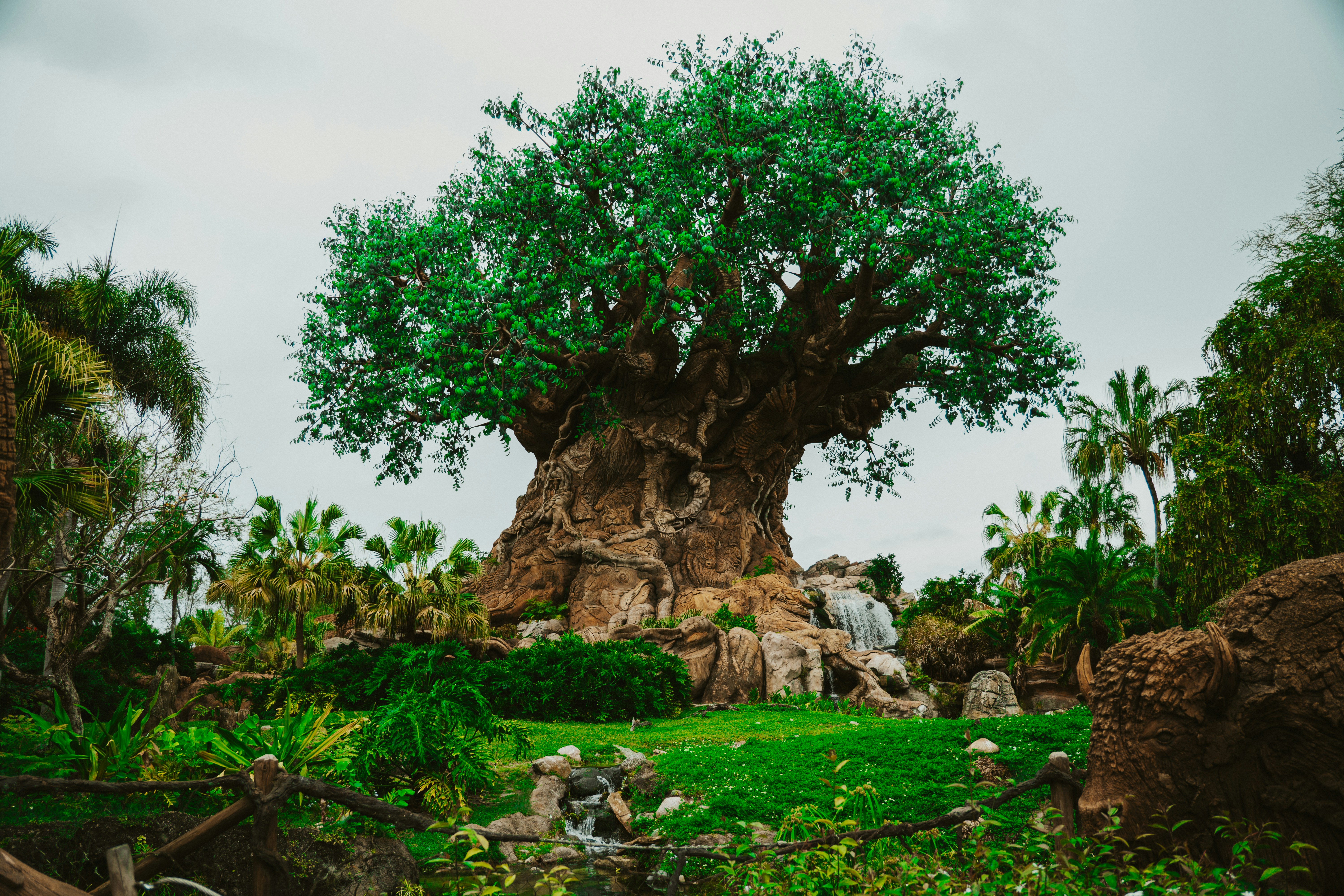 Photo by Nicholas Fuentes with Sony Alpha 6400