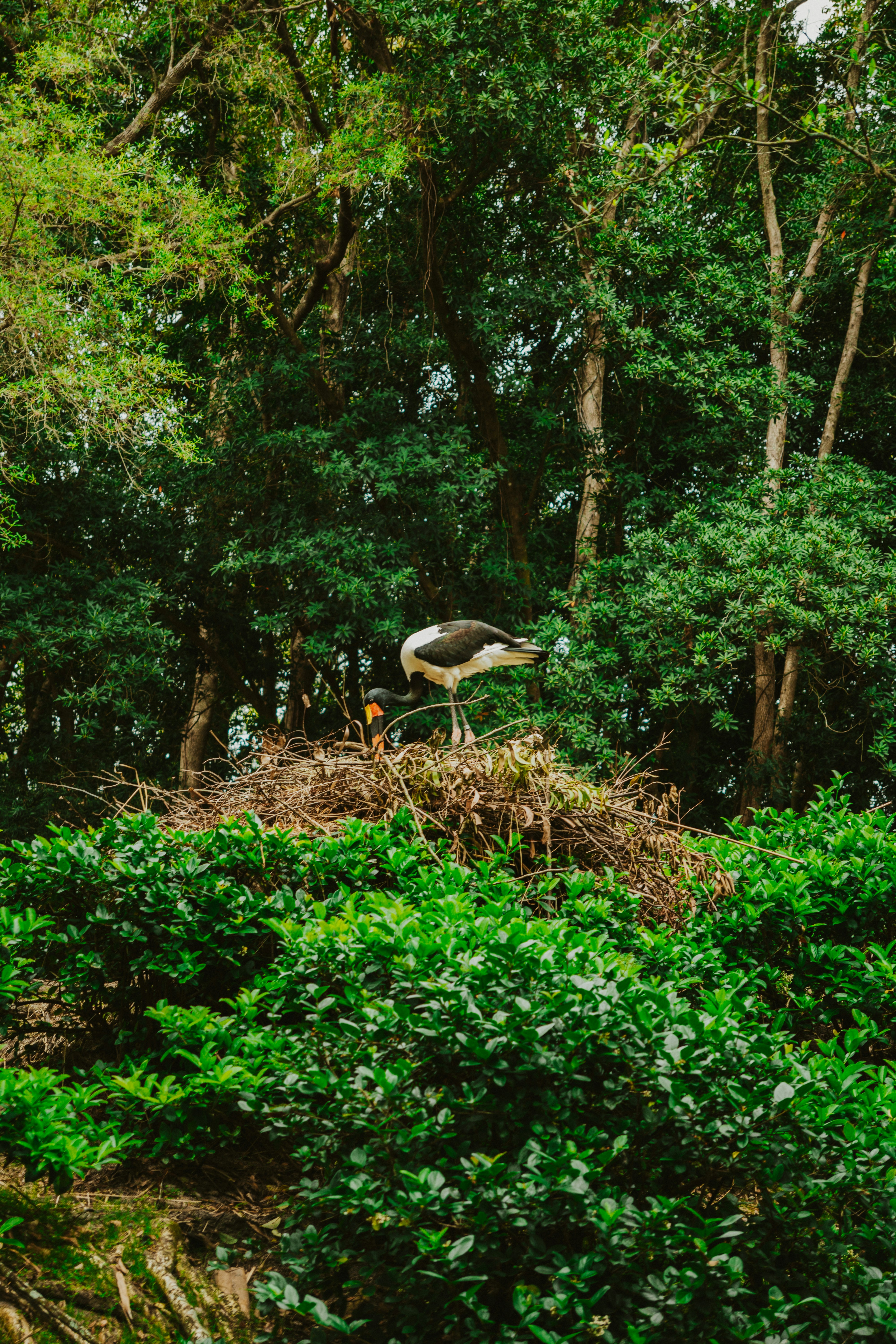 Photo by Nicholas Fuentes with Sony Alpha 6400